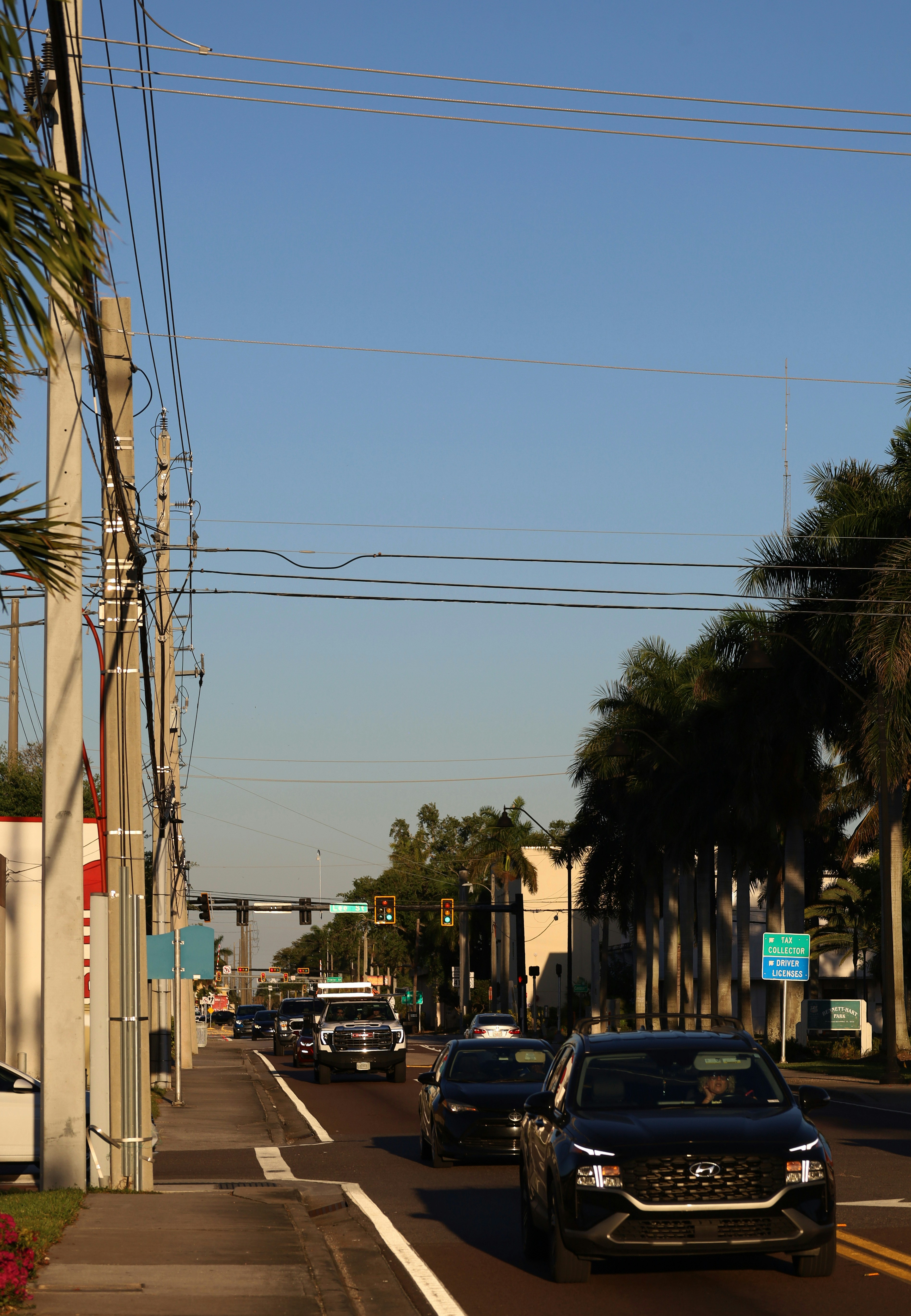 Traffic flows along a busy street lined with palm trees and utility poles under a clear blue sky.