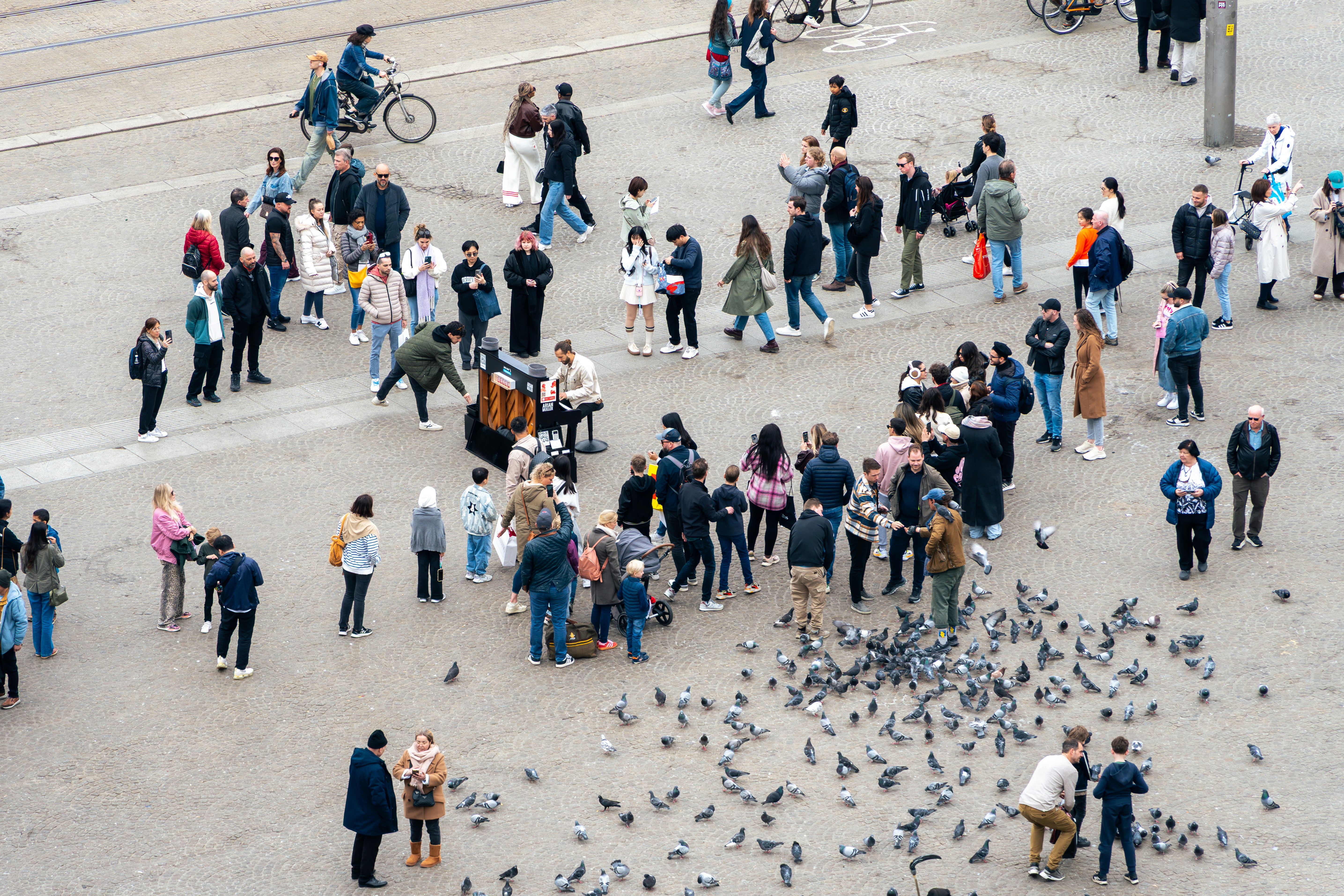 People gather and interact with pigeons on a plaza. photo – Free People ...