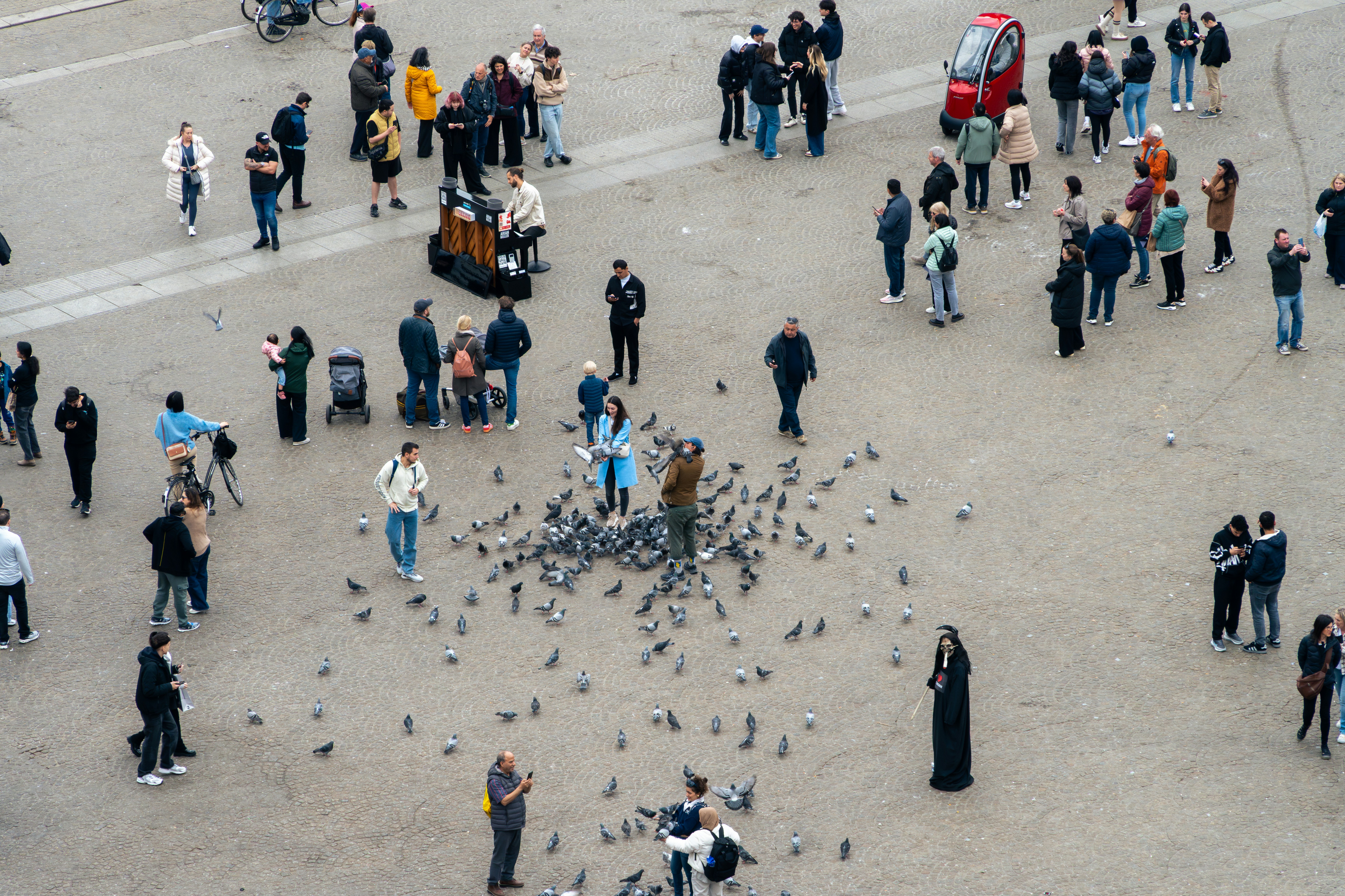 Circling Feathers and Footfall: Center-Stage Moments in a City Square