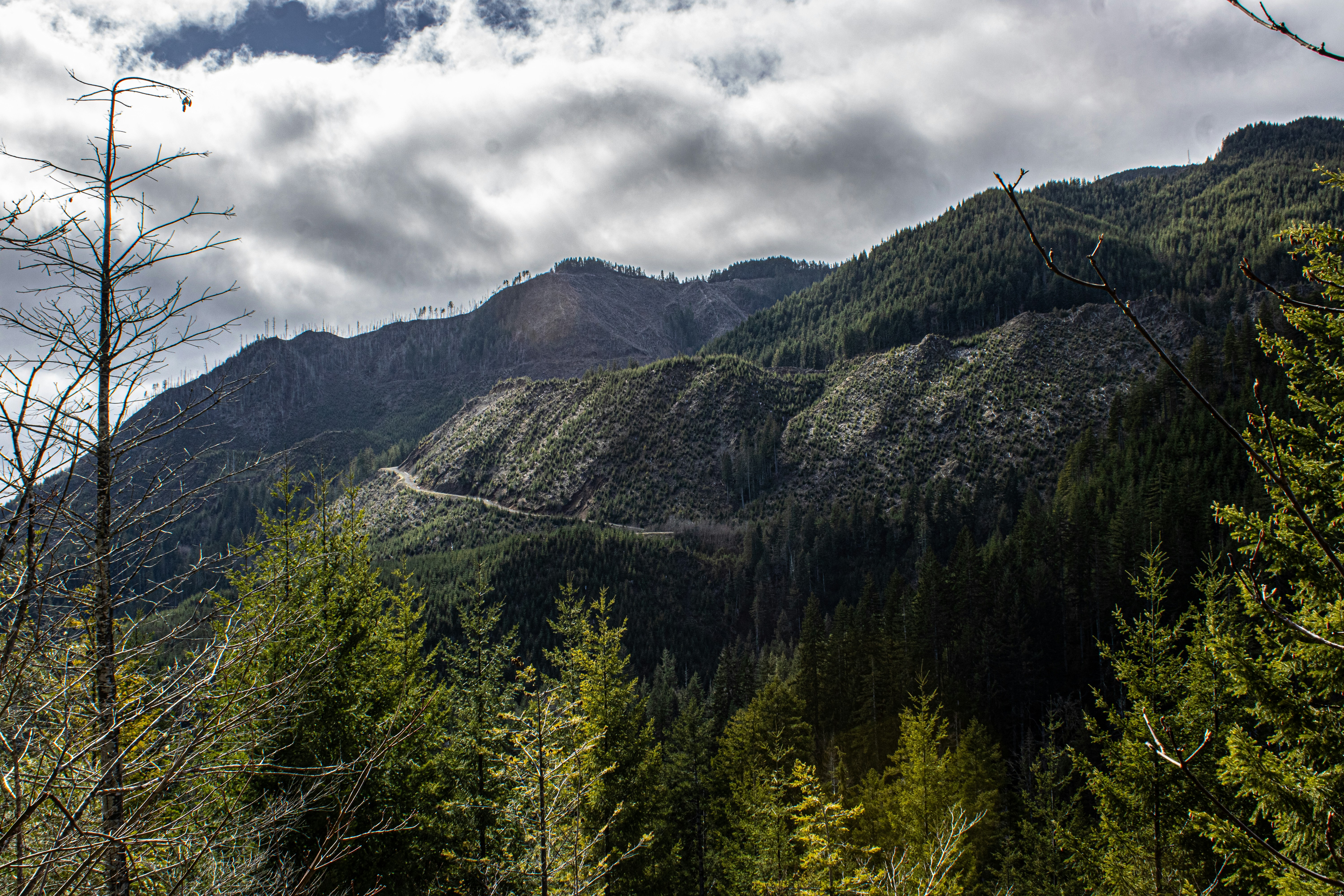 Sunlit mountain ridge with dense forest and dramatic clouds overhead.