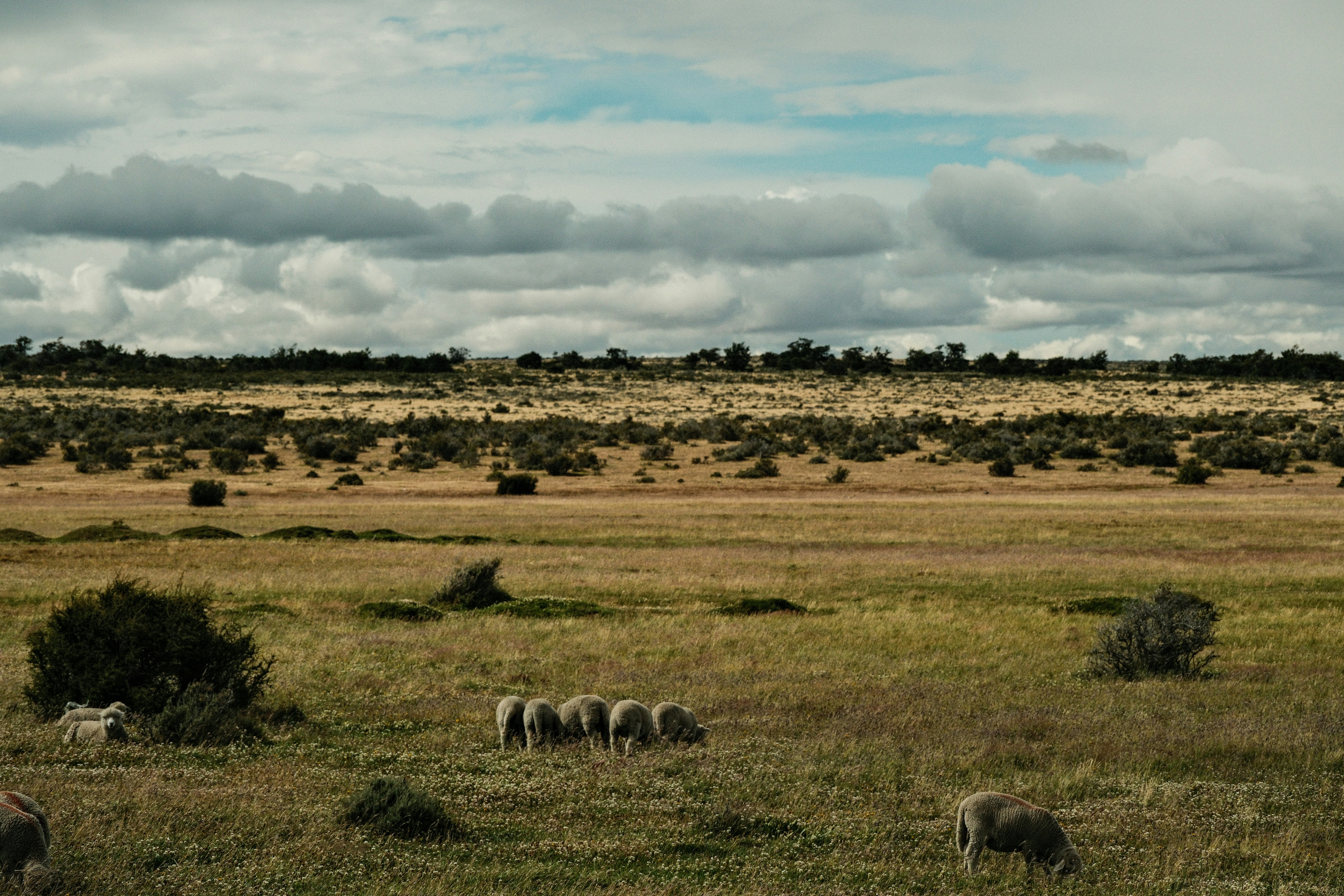 Photo by tonny huang with Fujifilm X-T5