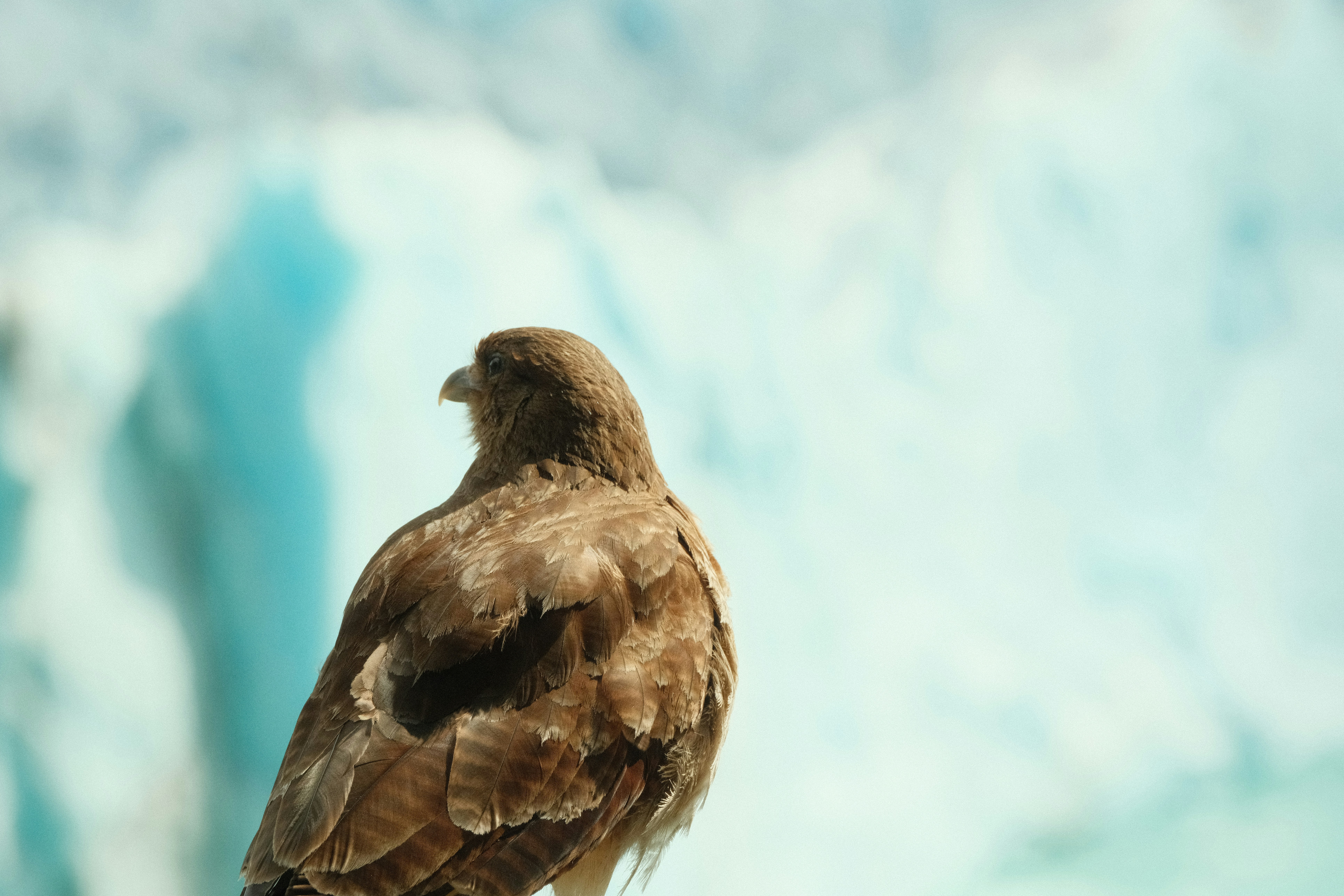 Photo by tonny huang with Fujifilm X-T5