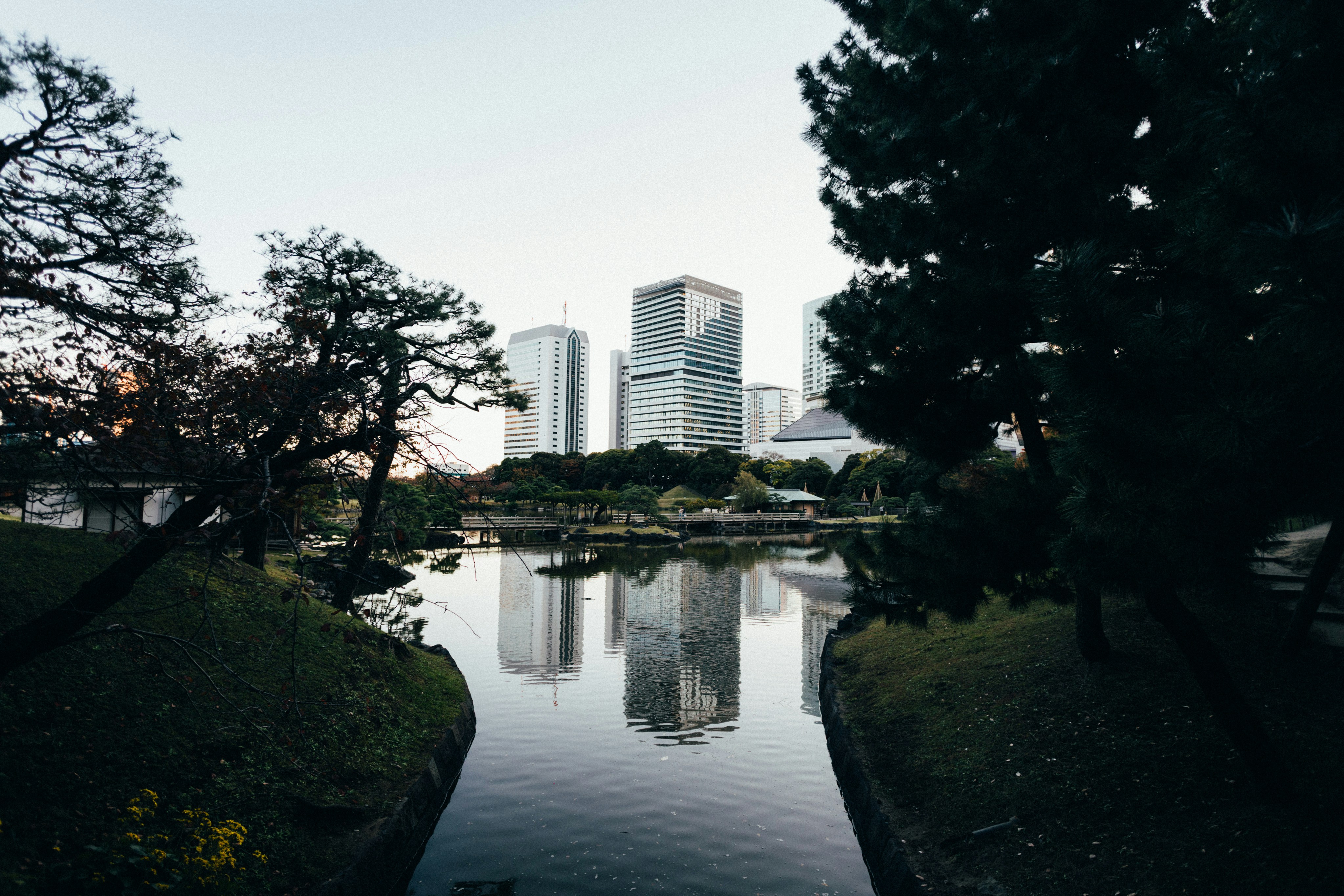 I grattacieli si riflettono nell'acqua calma vicino agli alberi. foto ...