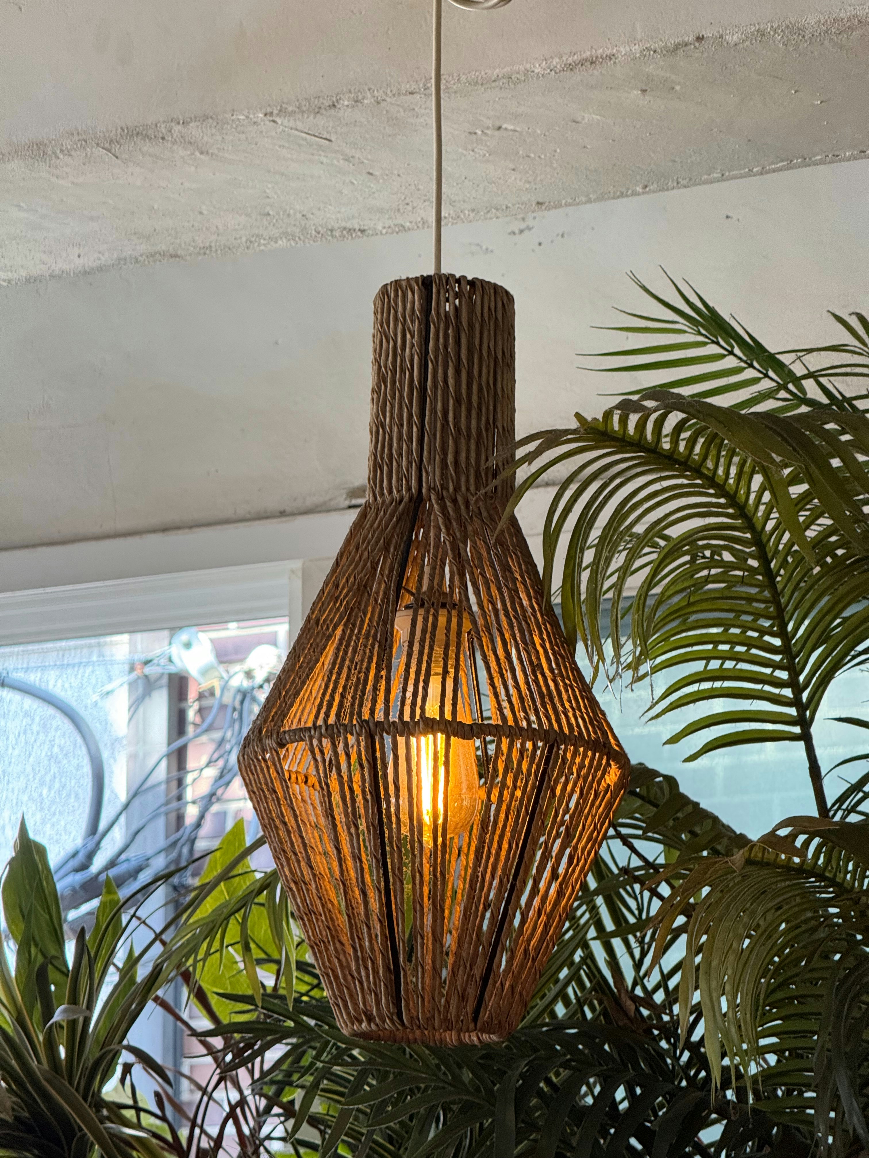 Cozy glow from a woven pendant lantern amid indoor palms
