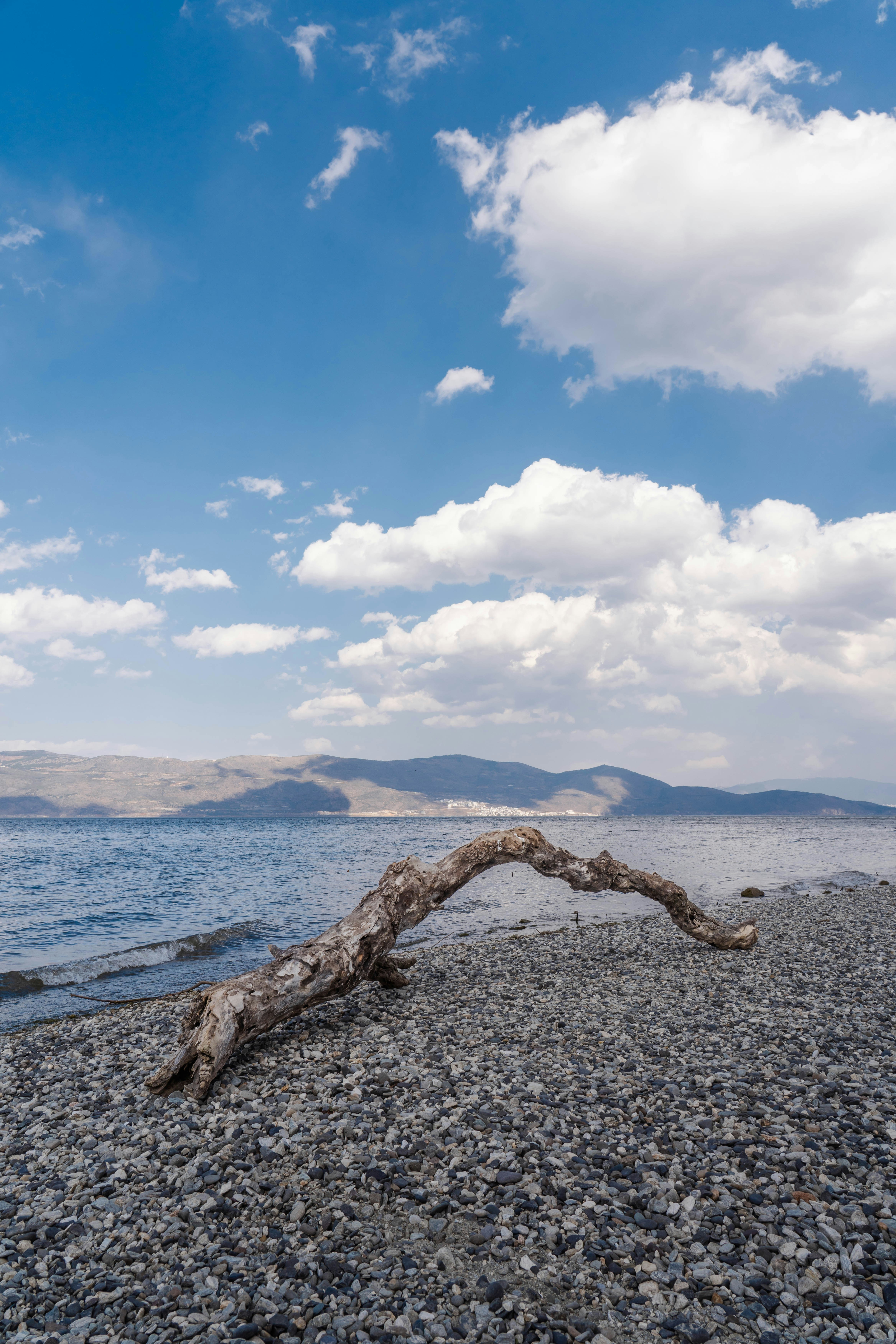 A driftwood log rests on a pebble beach. photo – Free Beach Image on ...