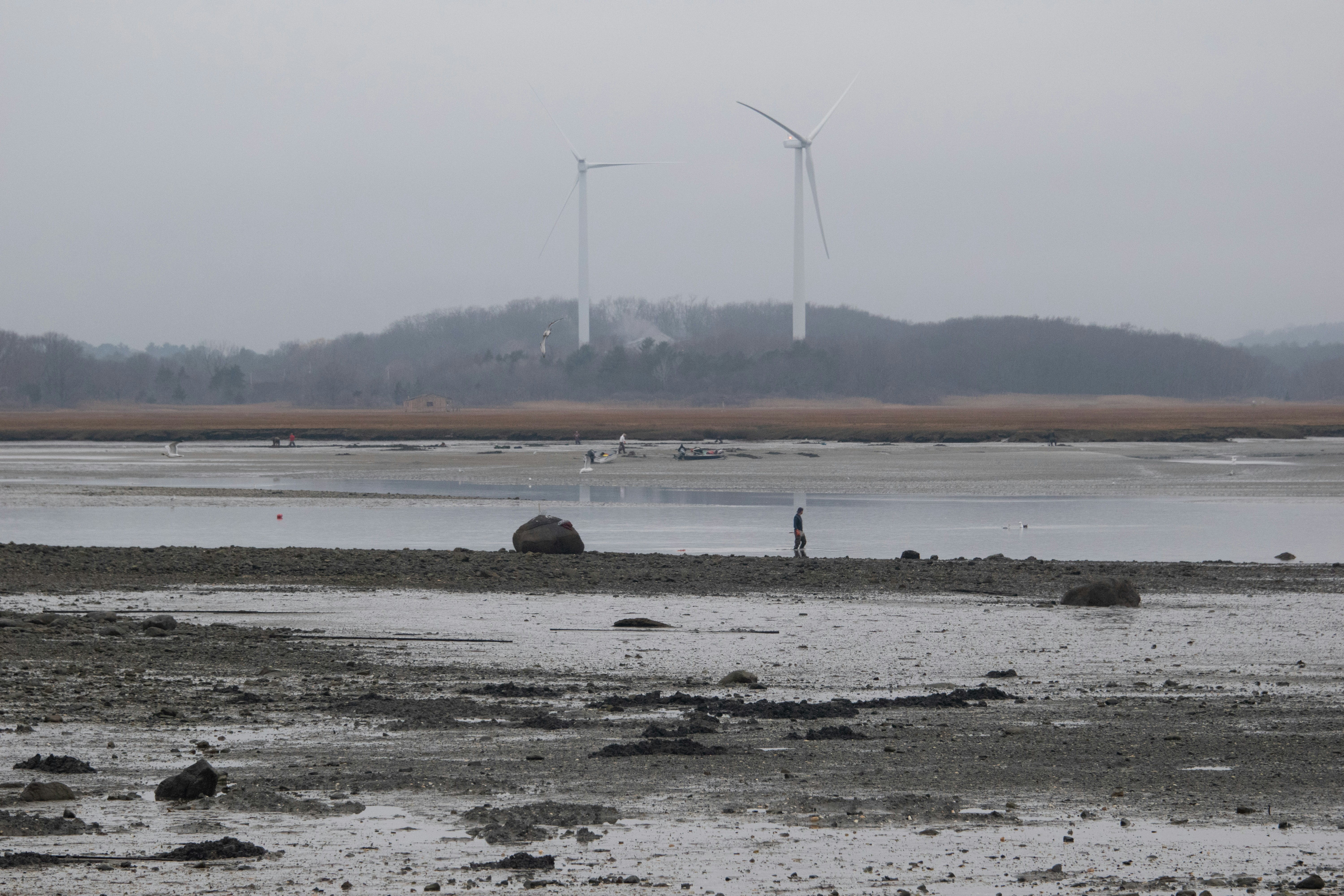 Whispers of the Coastal Wind