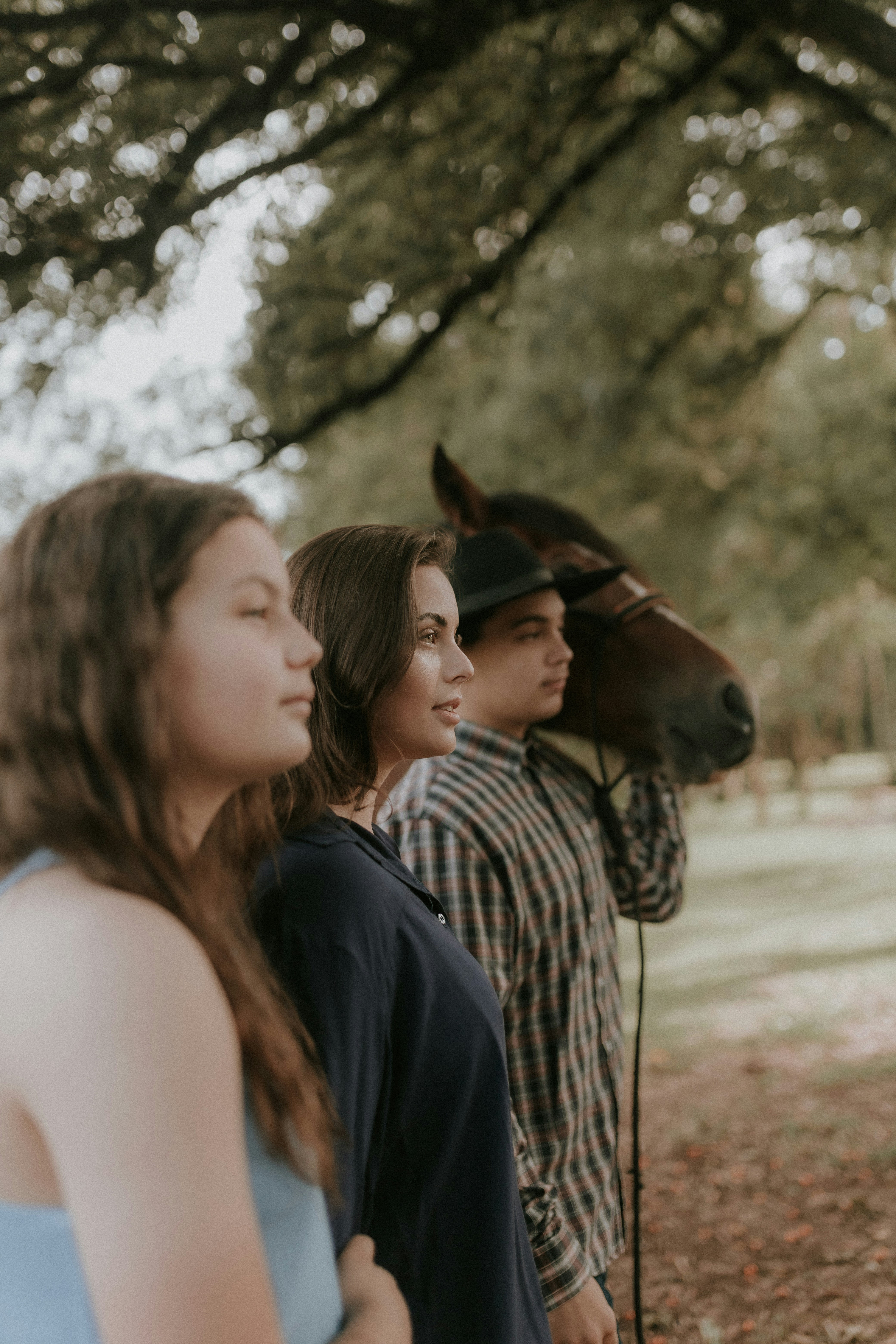 Three Friends and a Whinny Moment: A Quiet Side Profile in the Park
