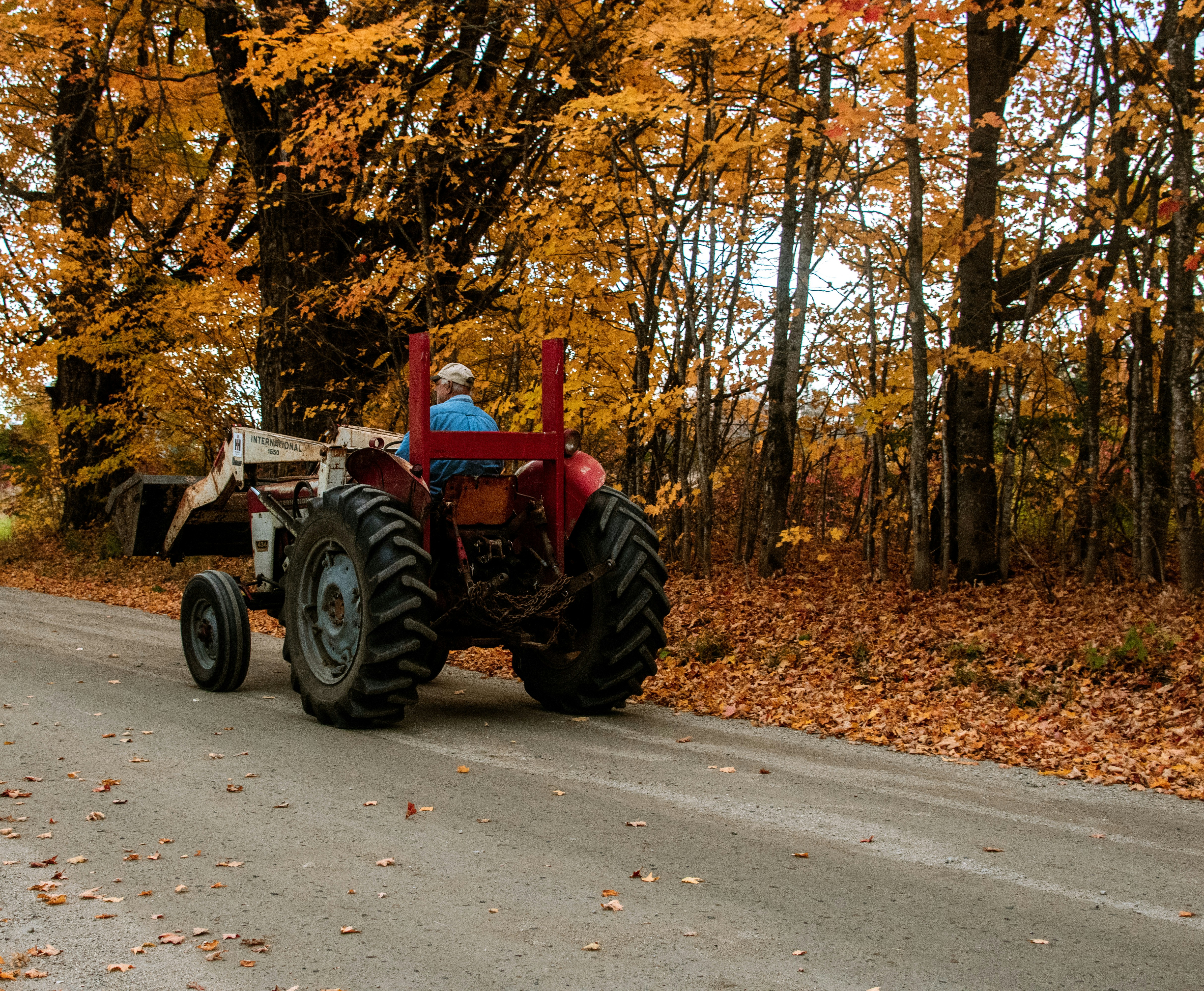 Red Tractor Rumbles Along a Leaf-Carpeted Autumn Road
