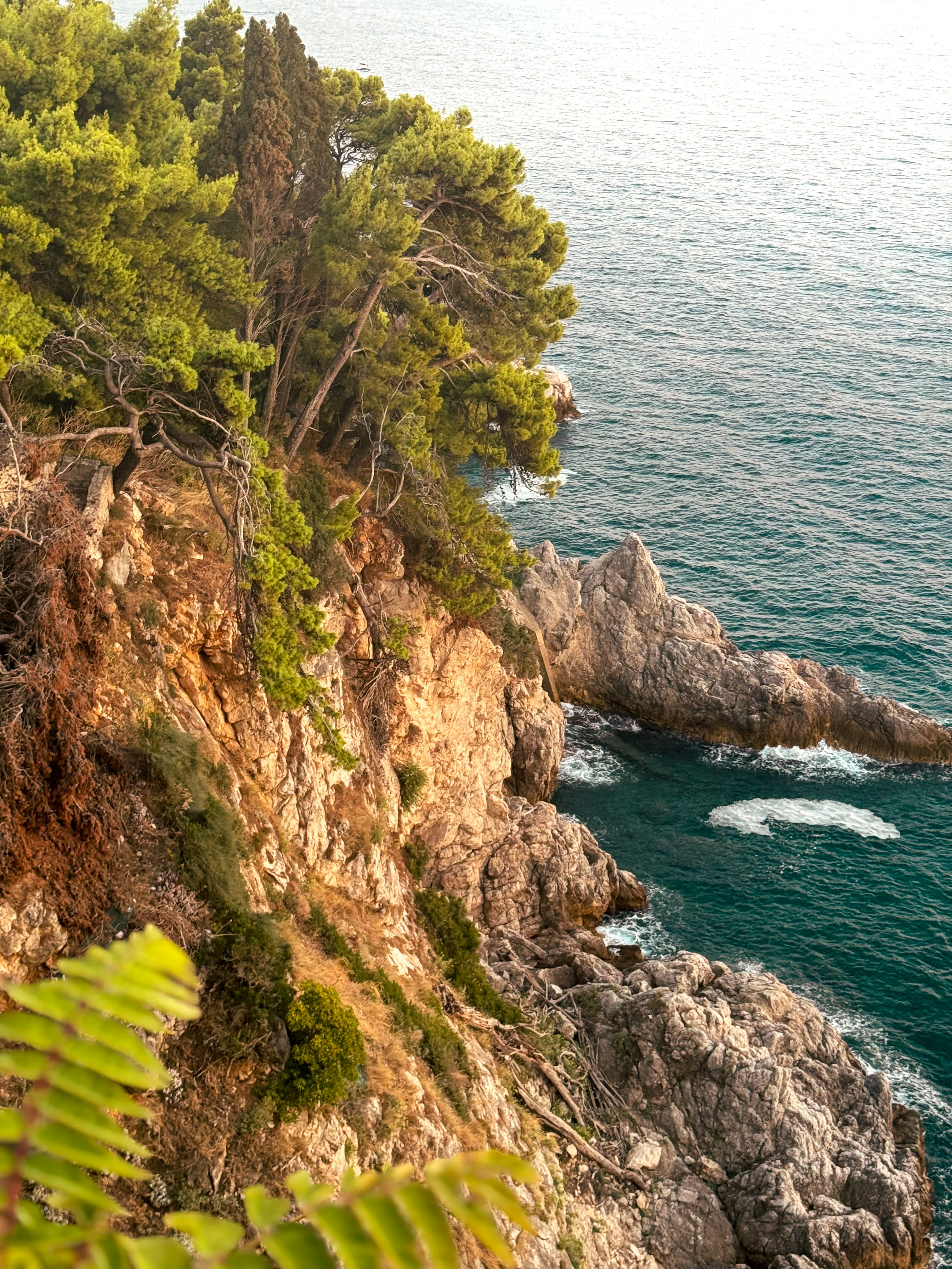 Verdant Cliffs Meet the Azure Sea
