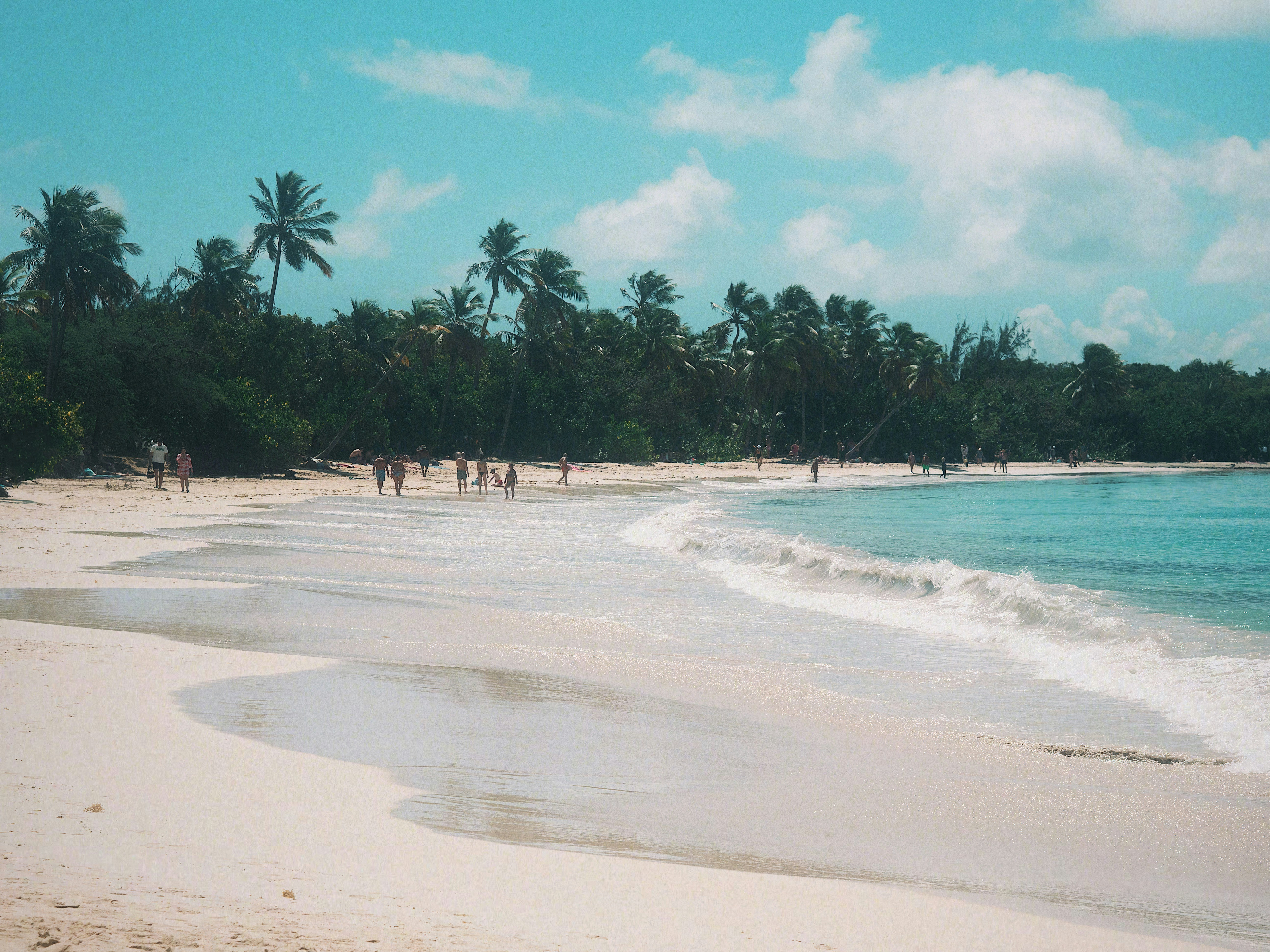 Beach with white sand, trees, and clear water. photo – Free Beach Image ...