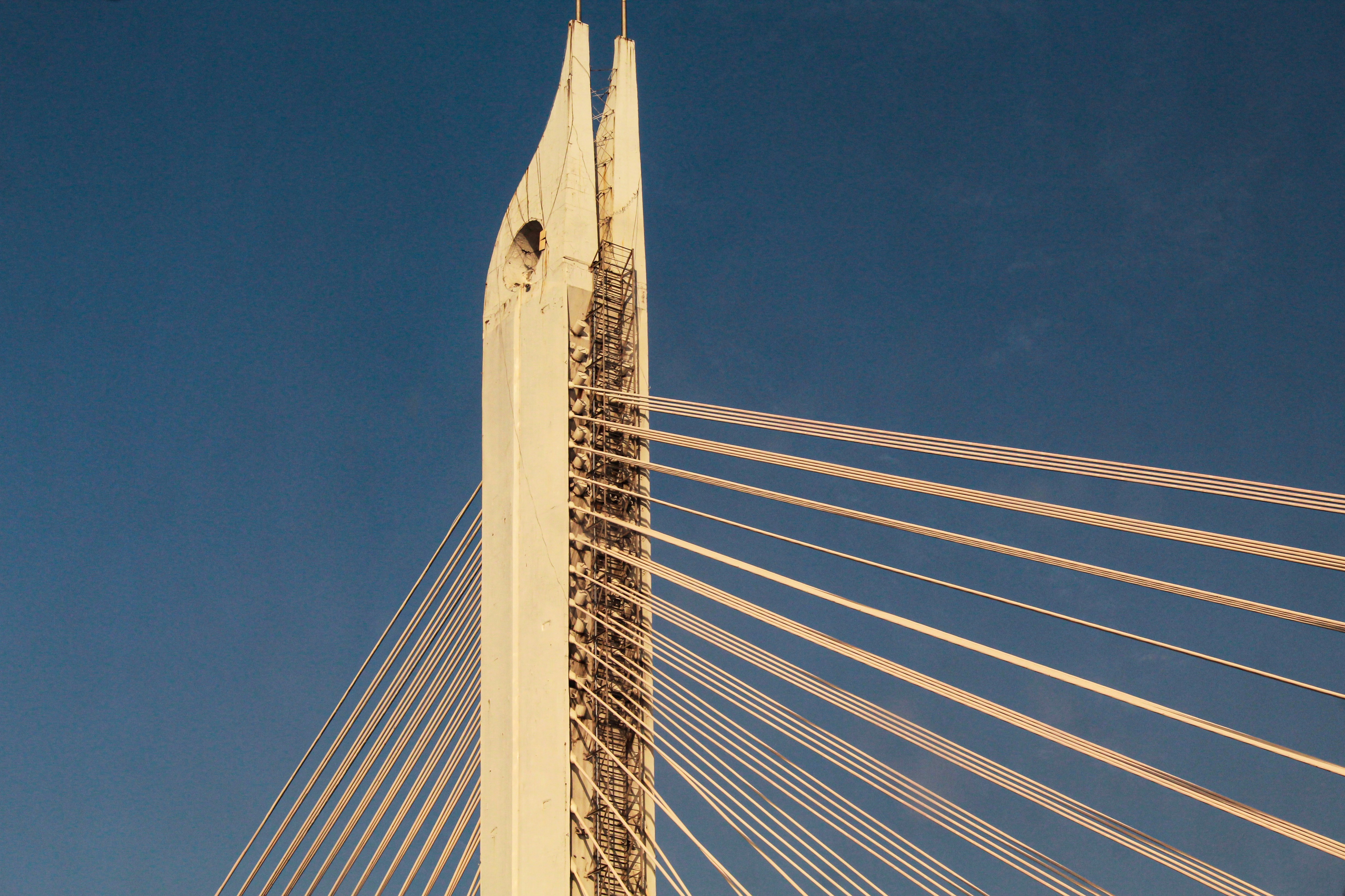 A modern bridge pylon and cables reach the sky. photo – Free Building ...