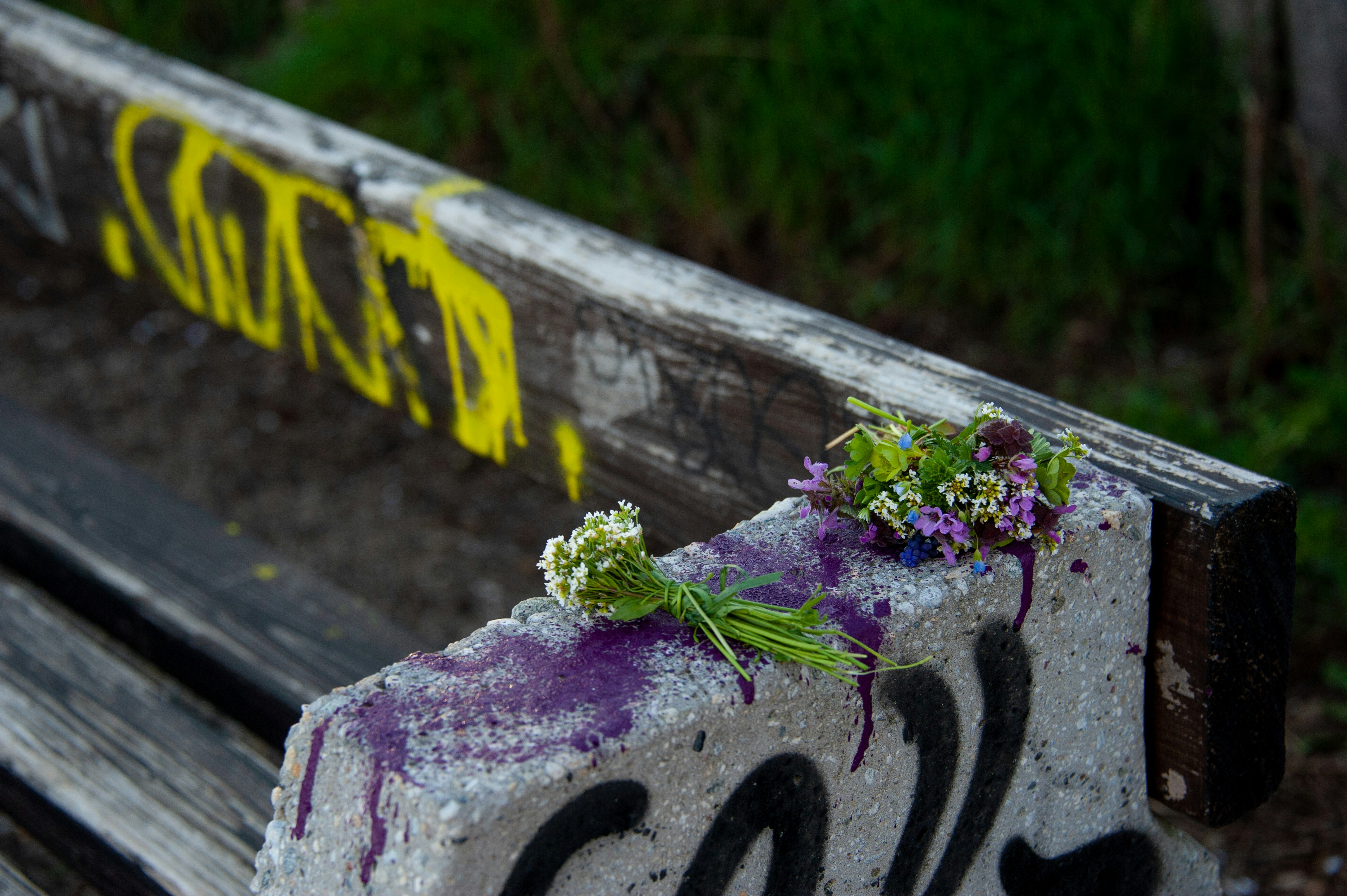 Whispers of Nature Amidst Urban Chaos