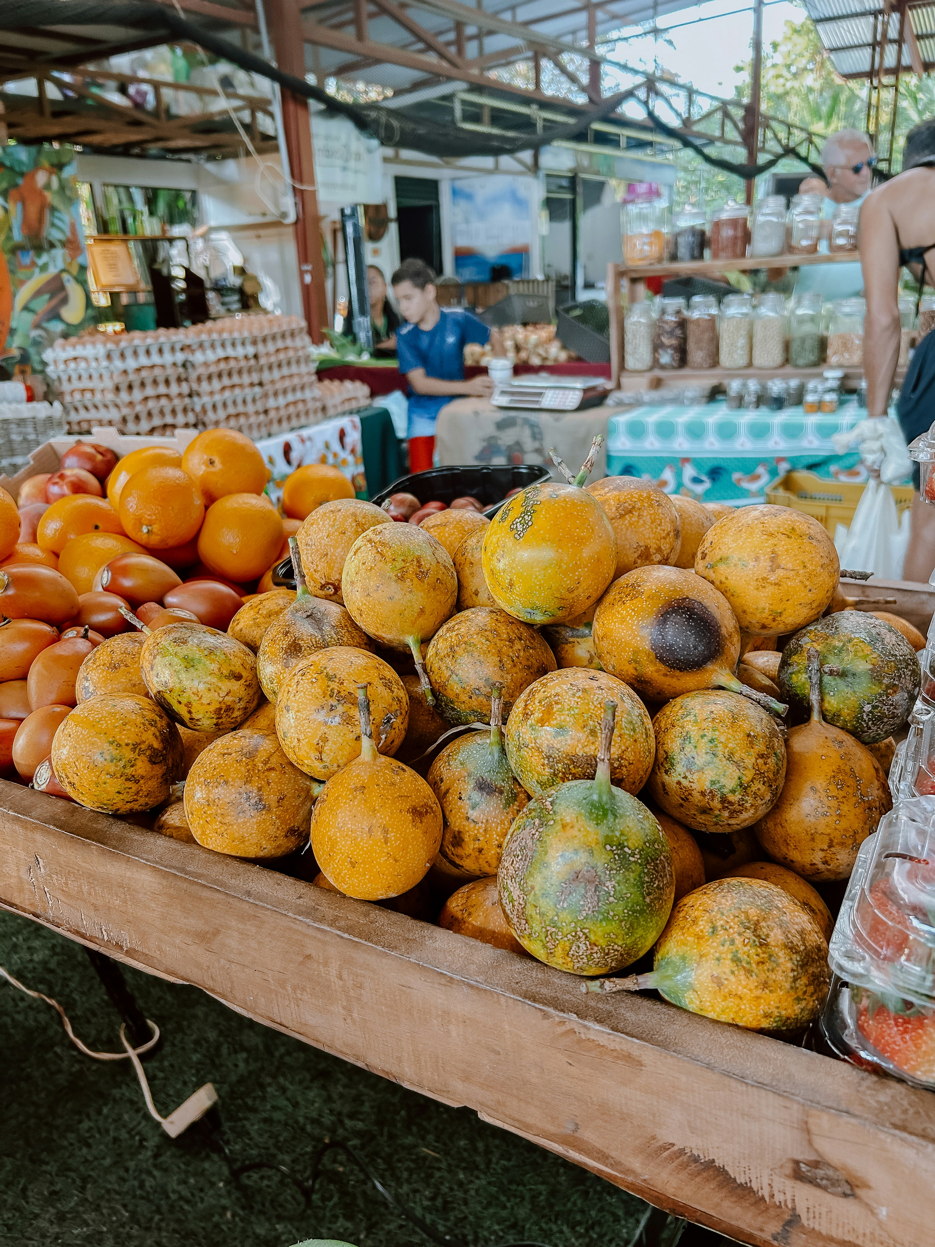 Orchard of Oranges: Market Jewels Under Canopy Light