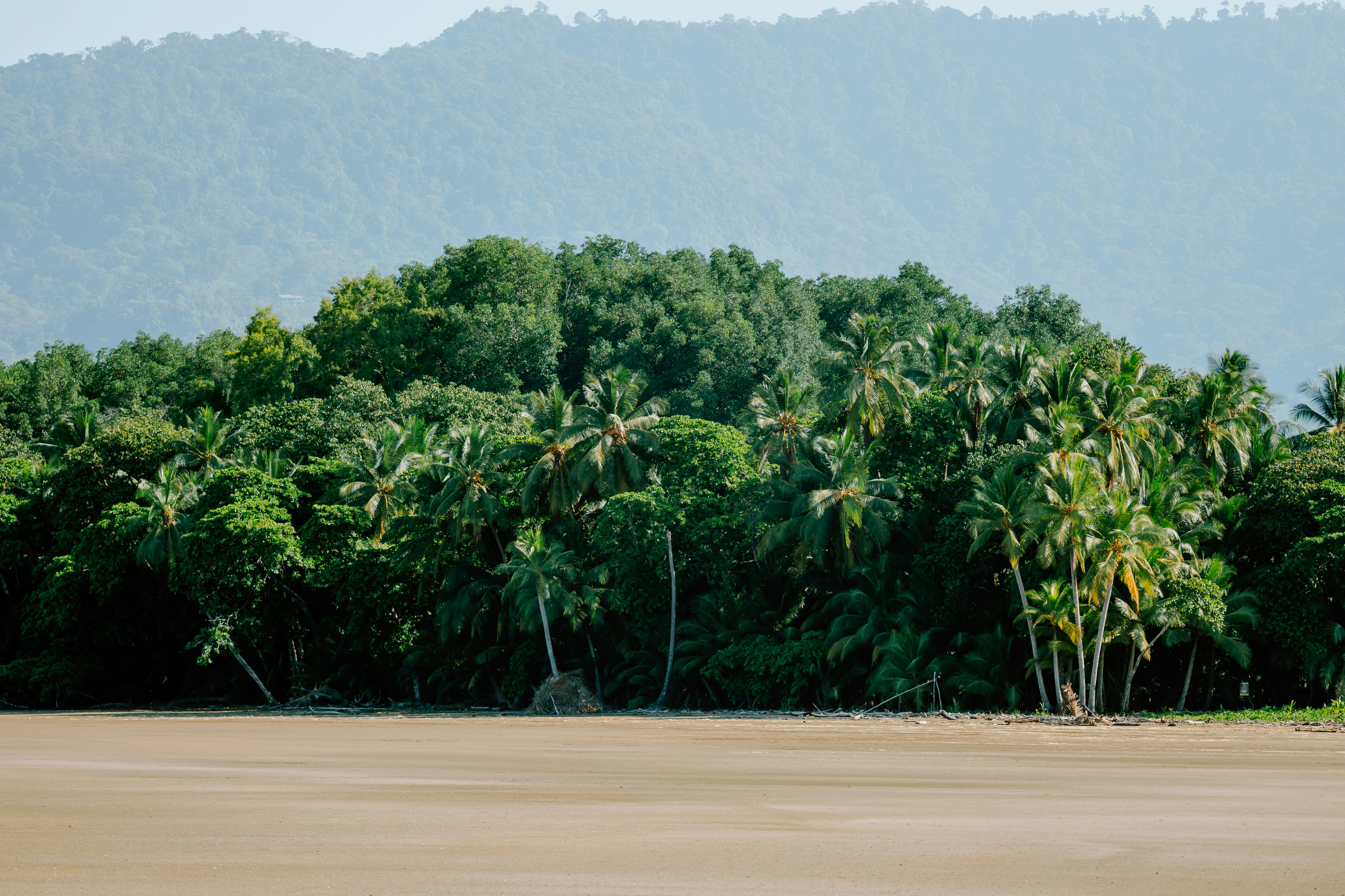 Lush tropical foliage meets the tranquil shoreline, framed by distant mountains under a clear sky.