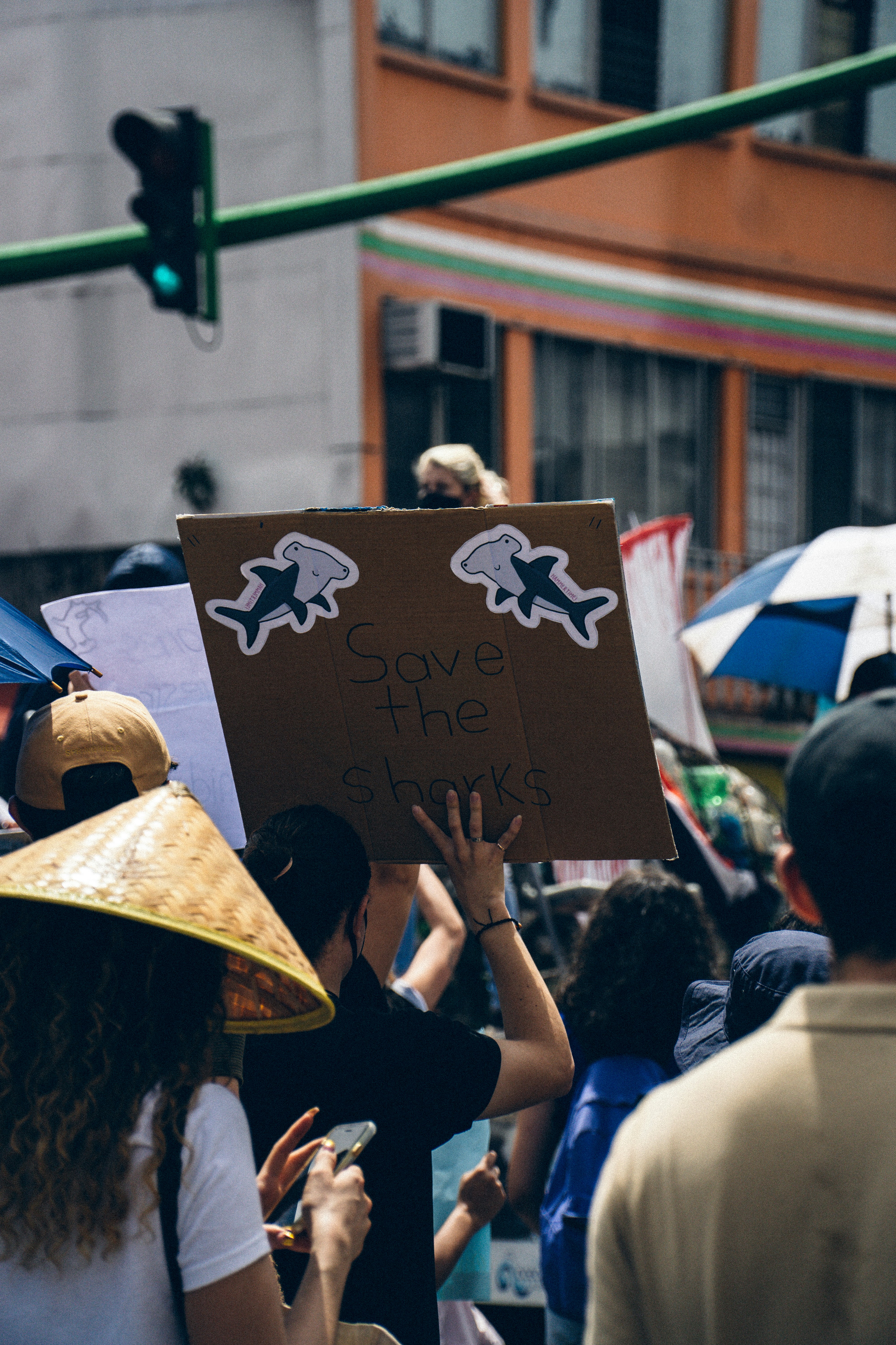 Activism in Costa Rica to Protect our oceans | Protestors march to save sharks.