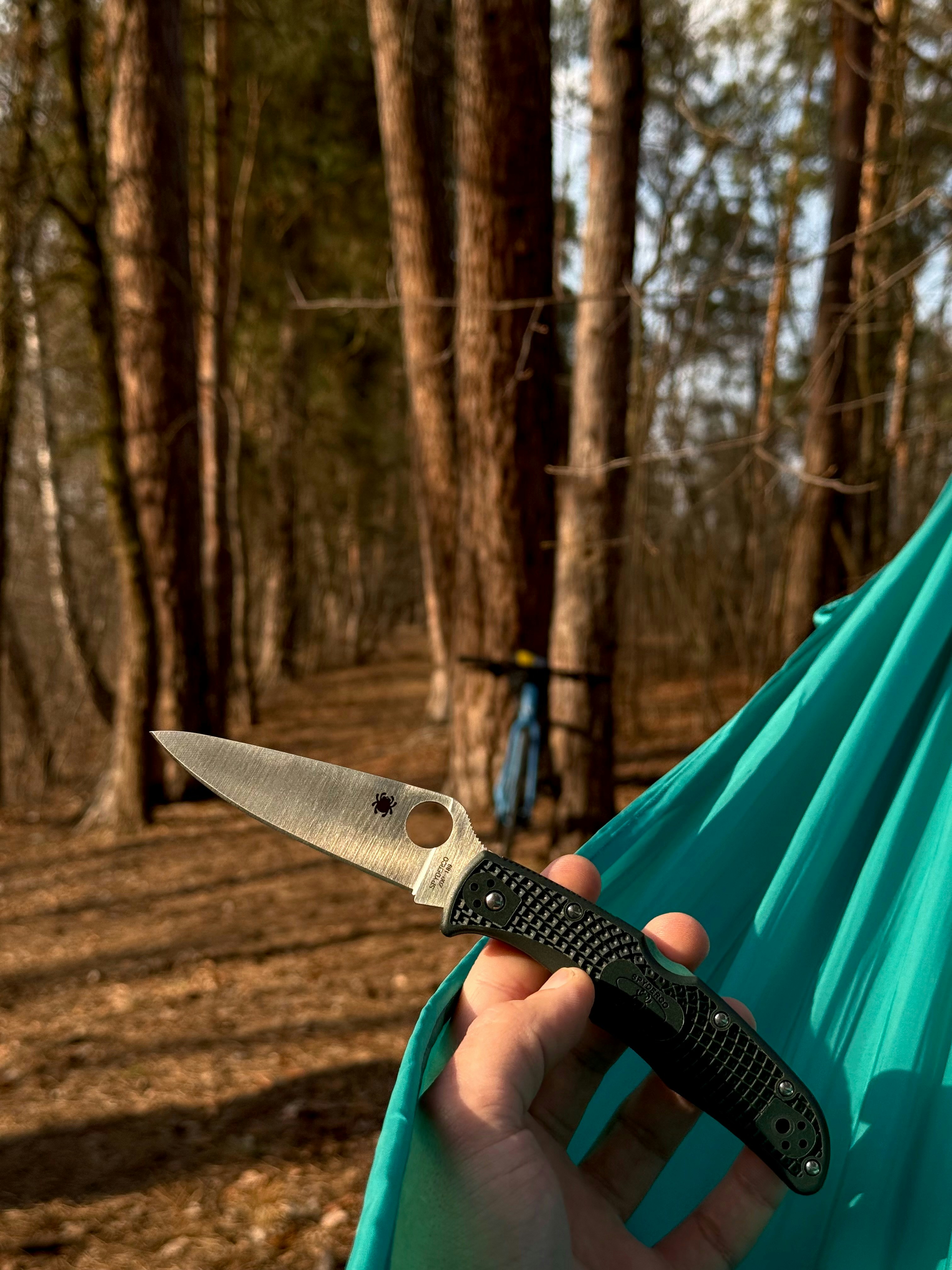 Forest Rest with a Blade
