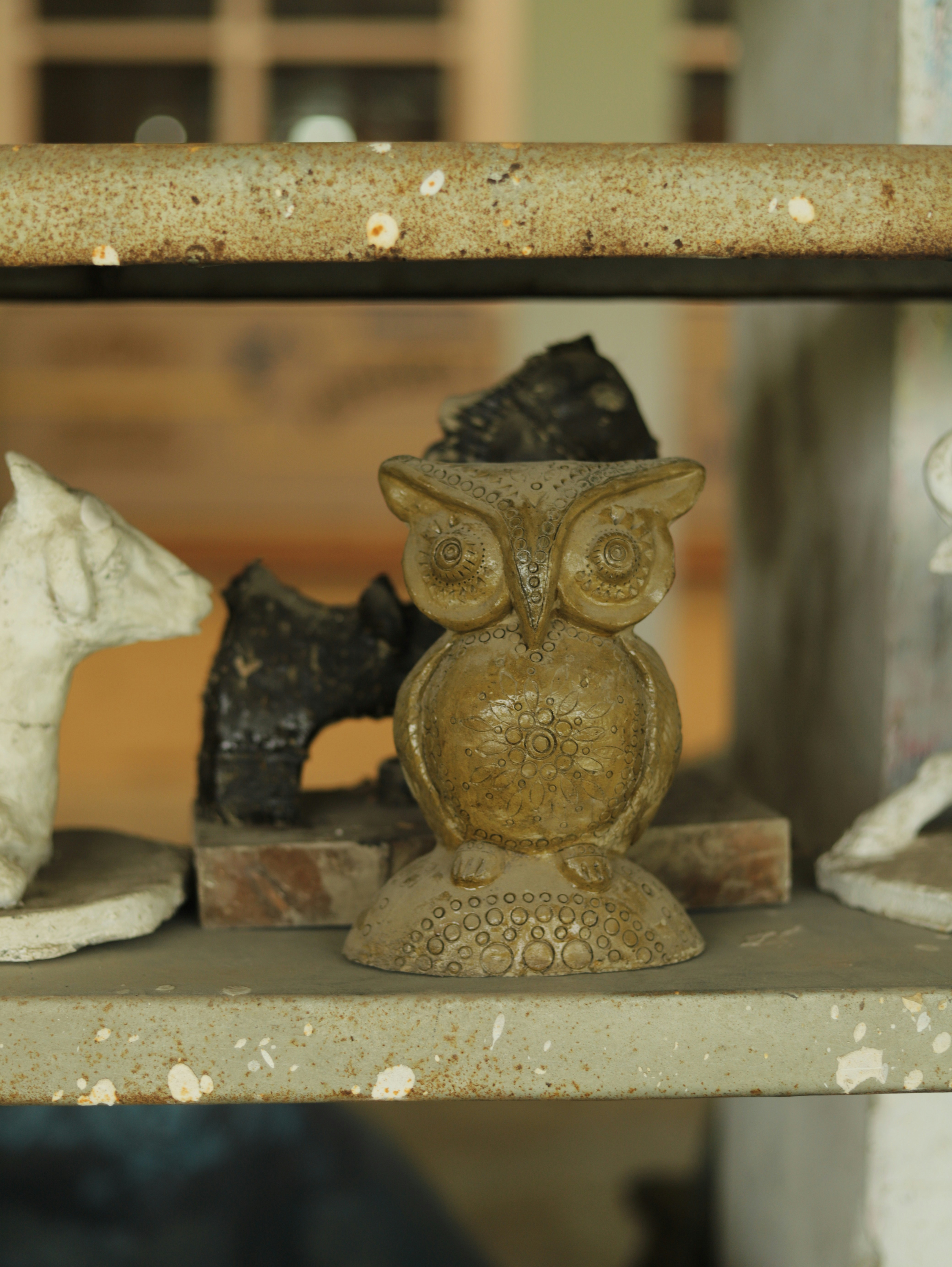 Ankon Roy (@mentalist_02) | Comunidade de fotos da Unsplash