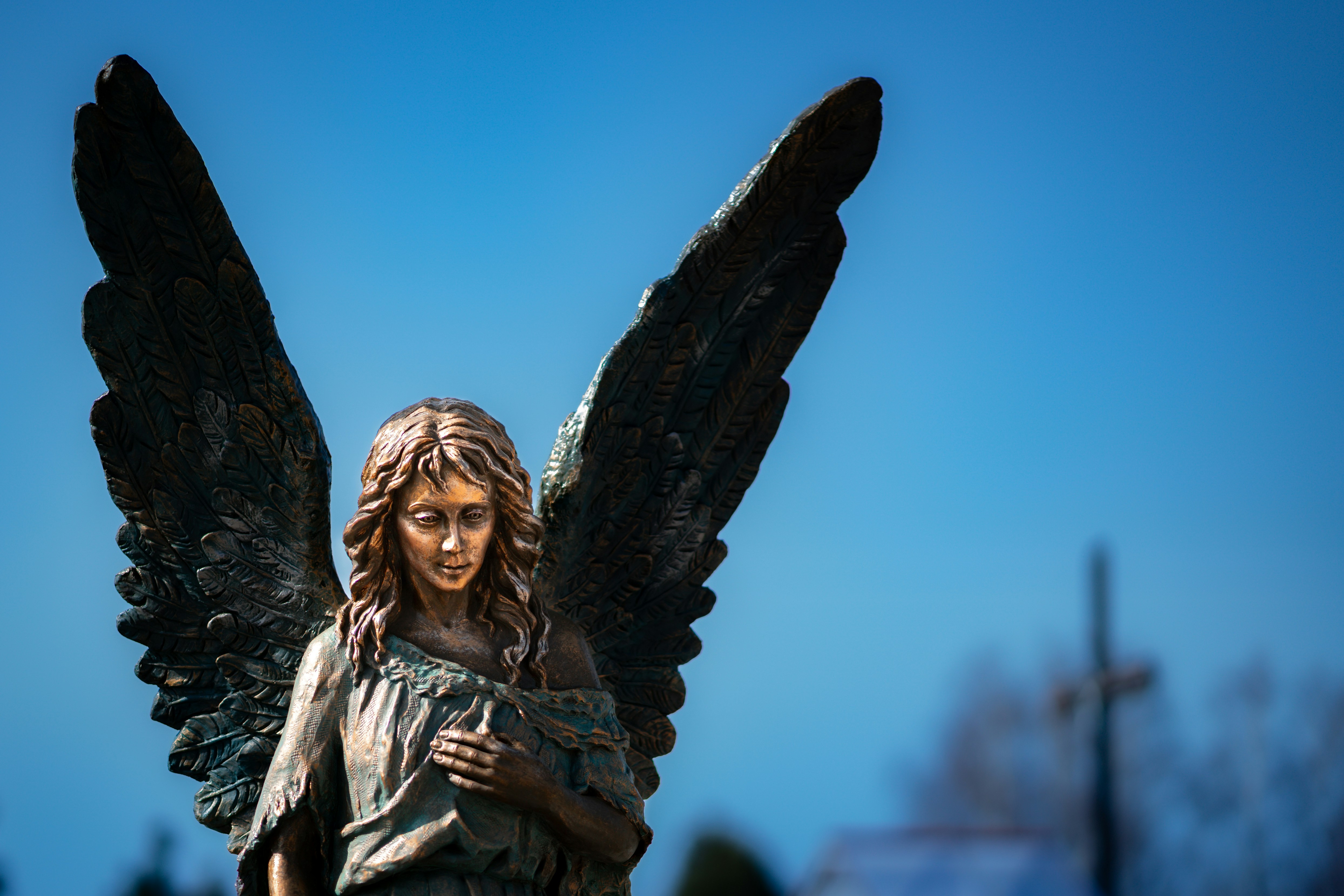 Photo by Gregory Upper with Sony Alpha 7 II