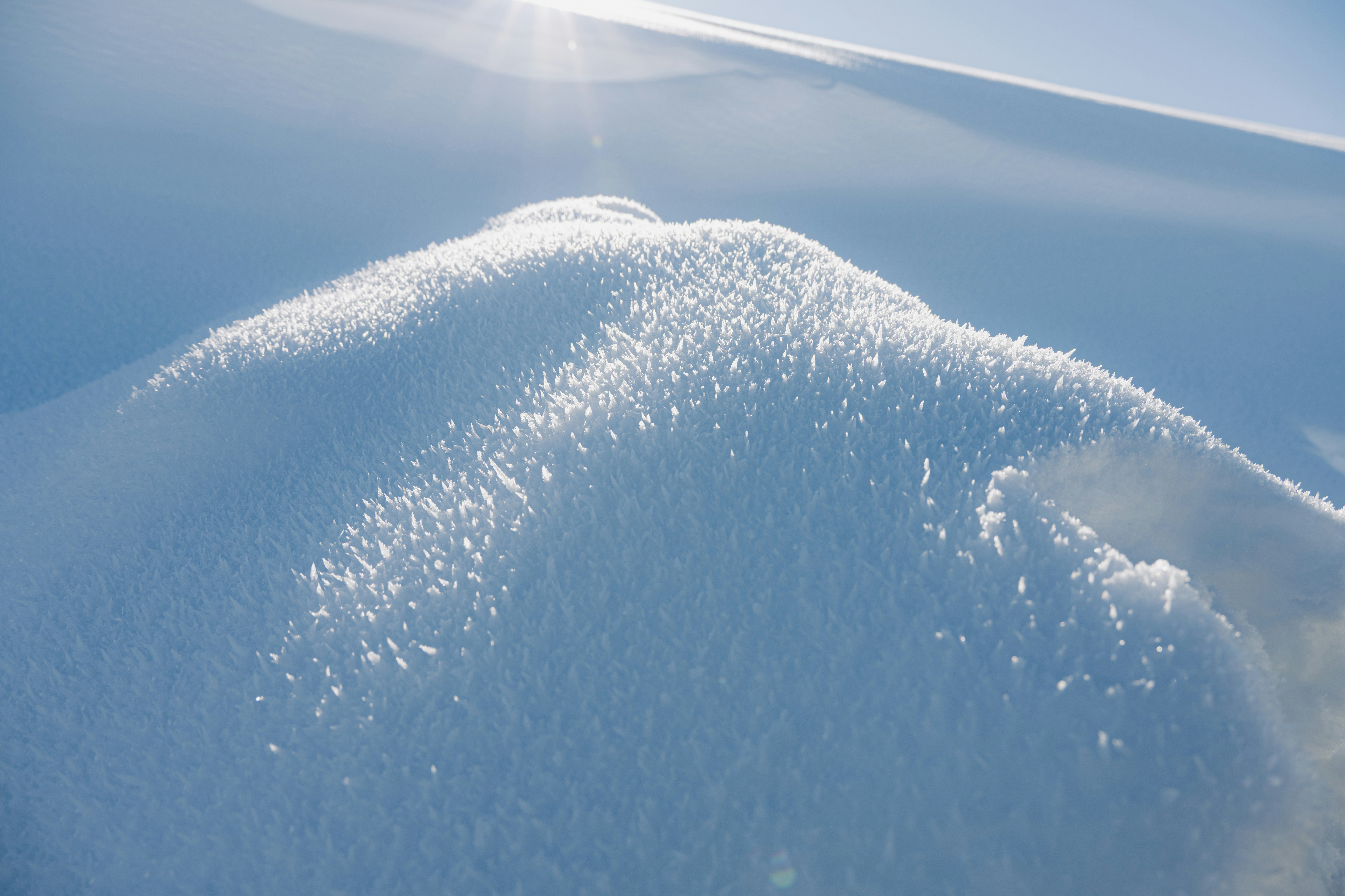 Glittering Crest in Arctic Light