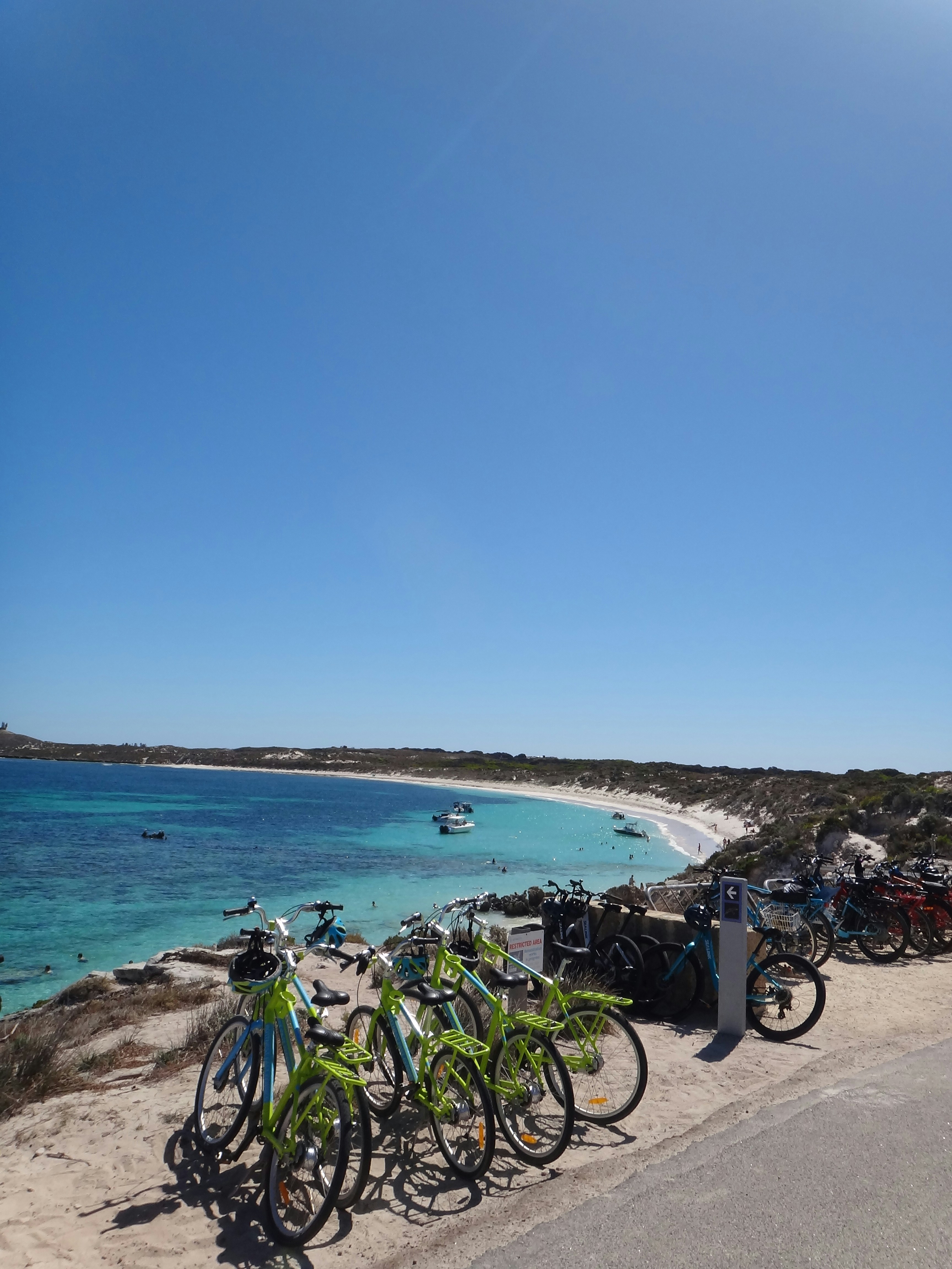 Lime-Green bicycles line a sunlit coastal promenade by a turquoise bay