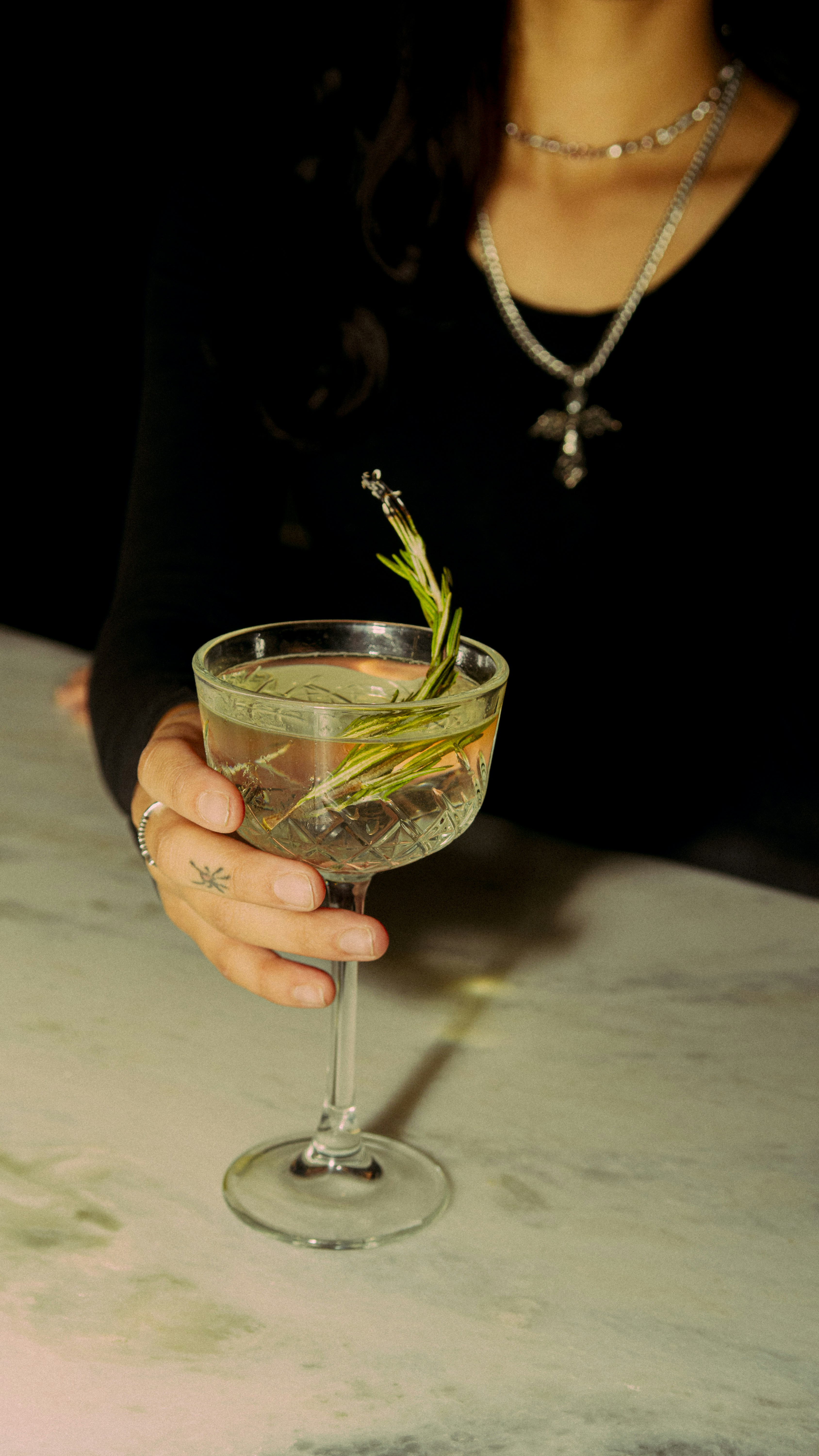 Person holds a cocktail garnished with rosemary. photo – Free Food ...
