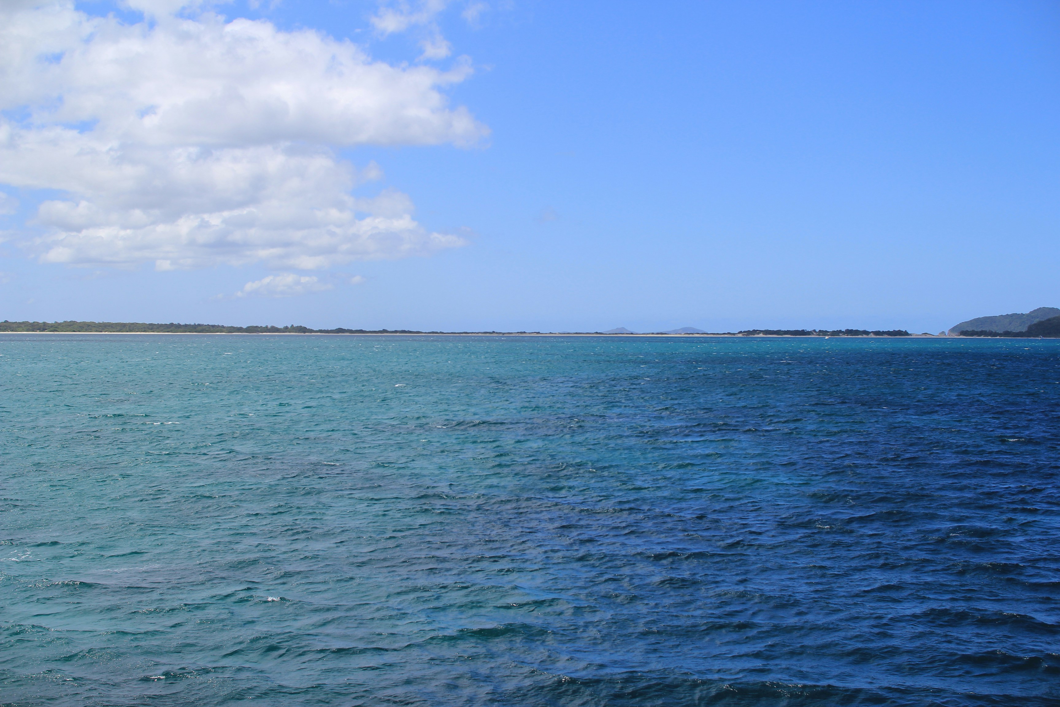 1000+ Two Colour Pictures | Download Free Images on Unsplash