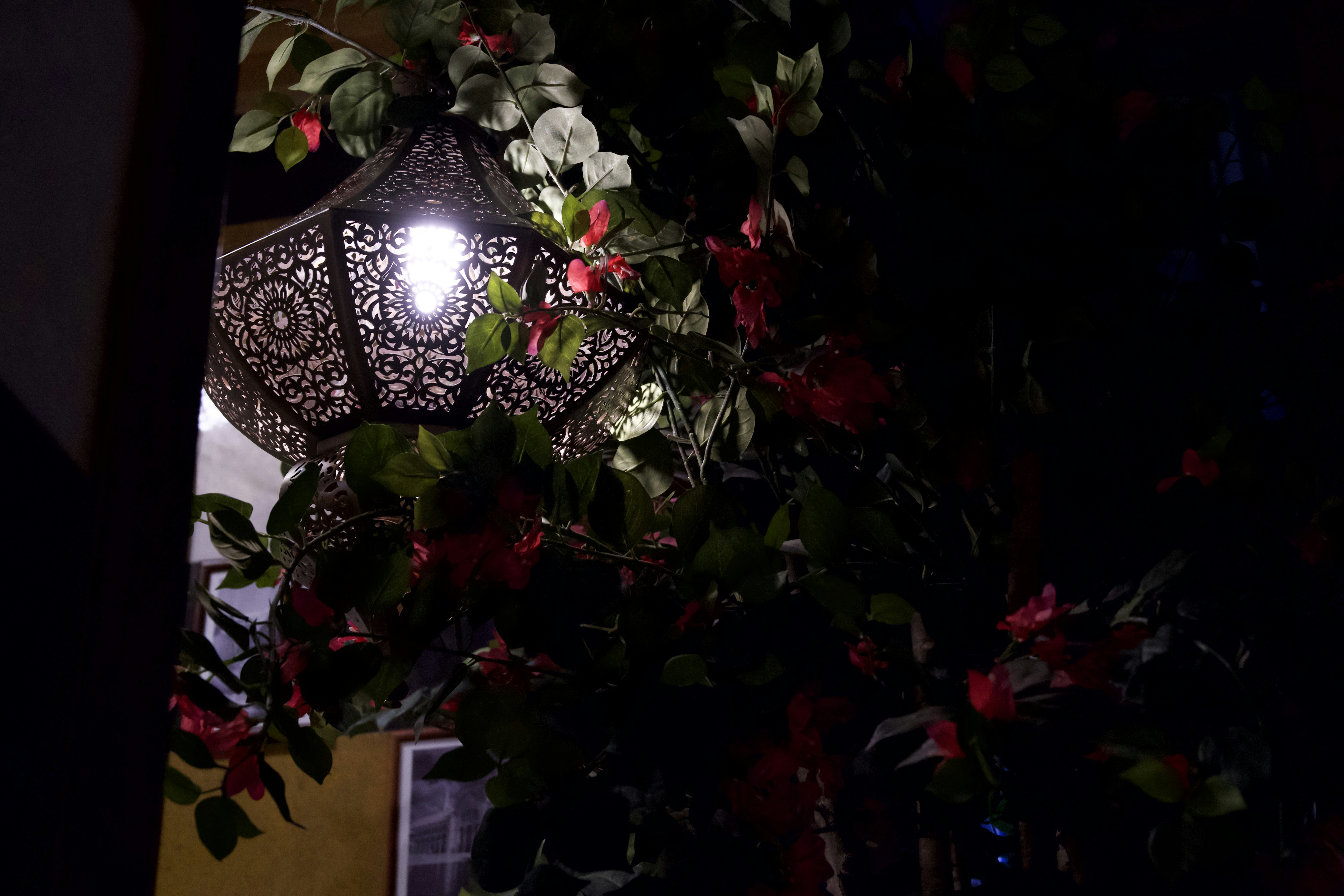 Ornate Lantern Amidst Blossoms