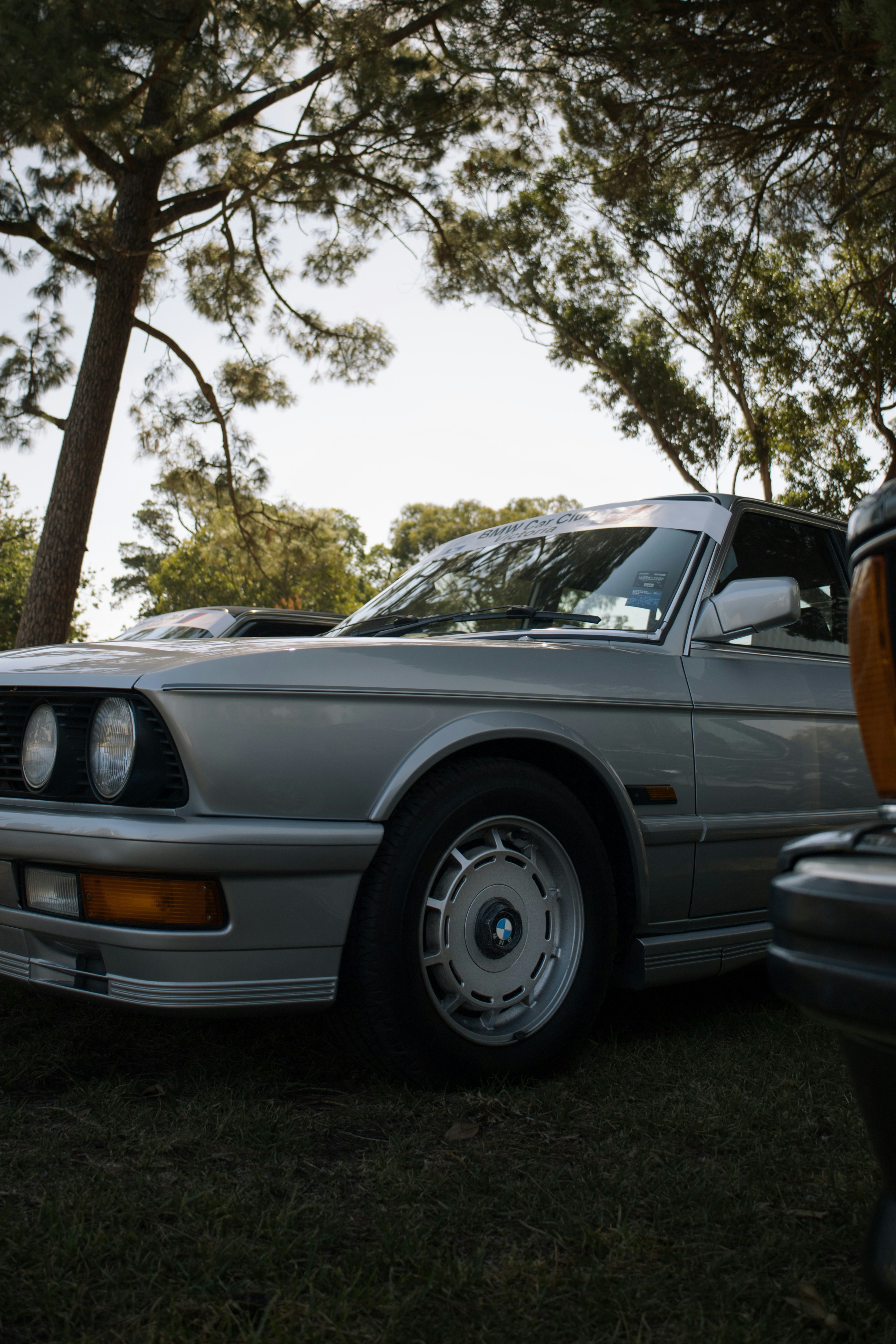 A classic silver BMW parked under trees. photo – Free Bmw Image on Unsplash