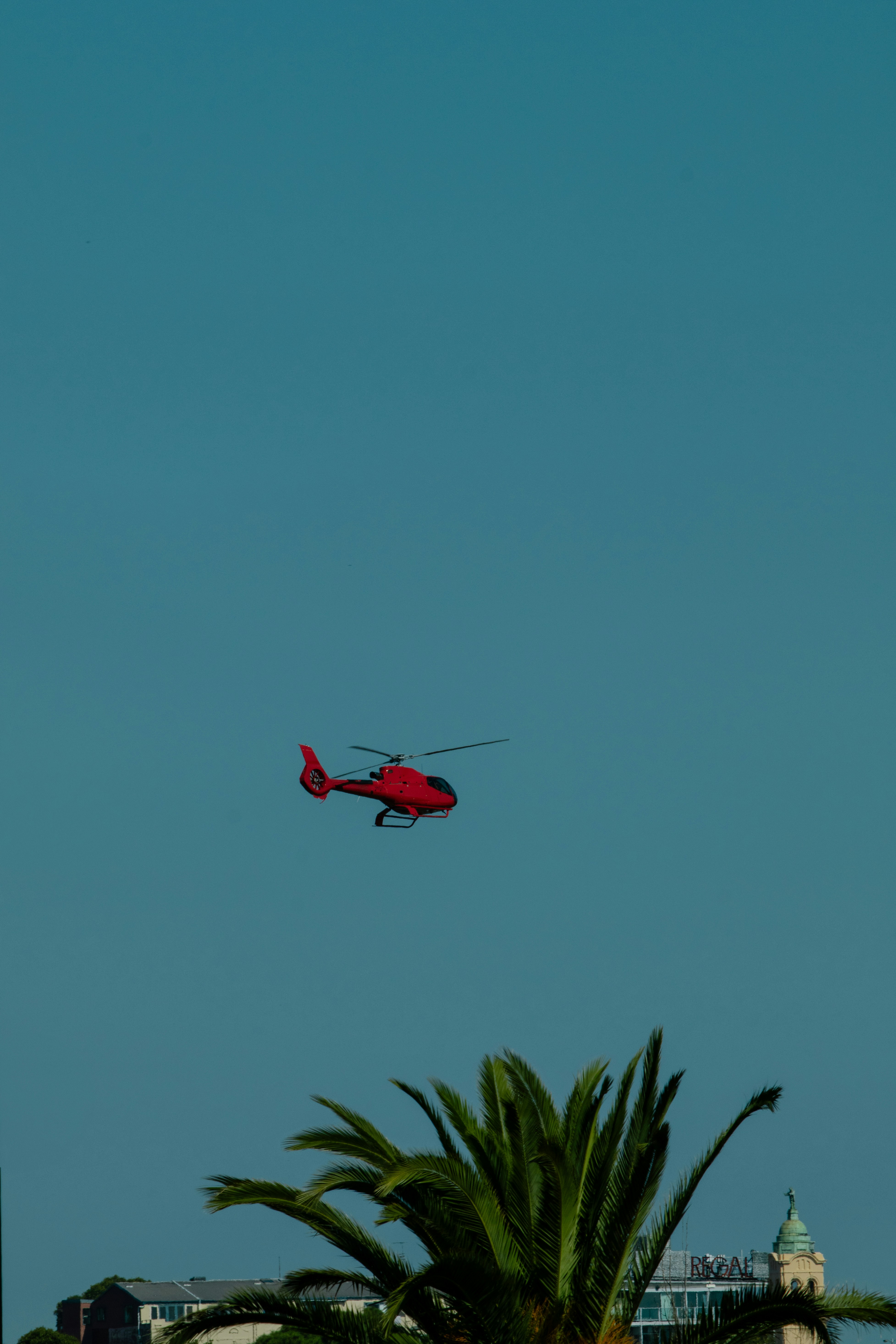 Crimson chopper gliding over a blue expanse above a palm-lined harbor