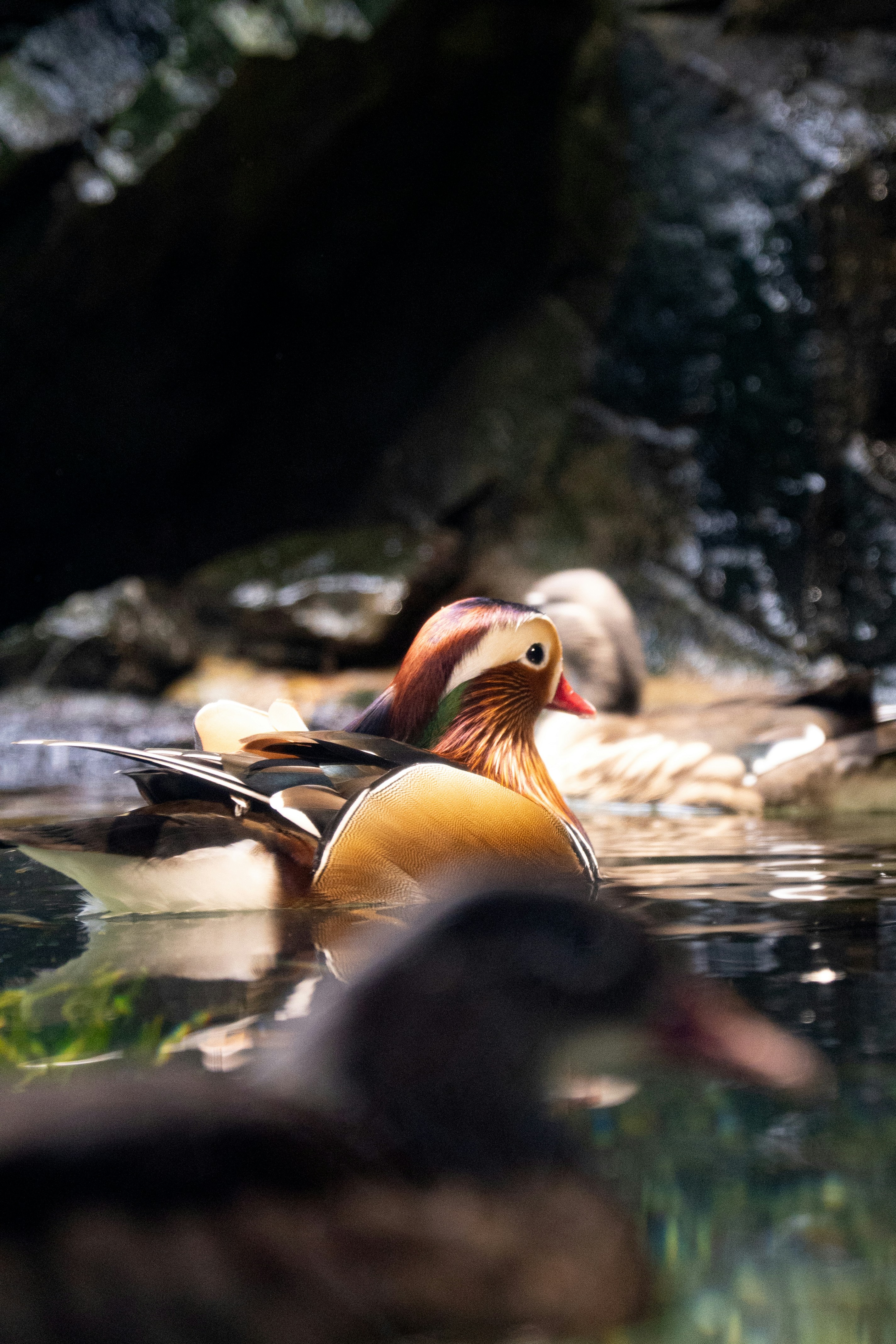 Photo by Marco Vockner with Sony Alpha 6400