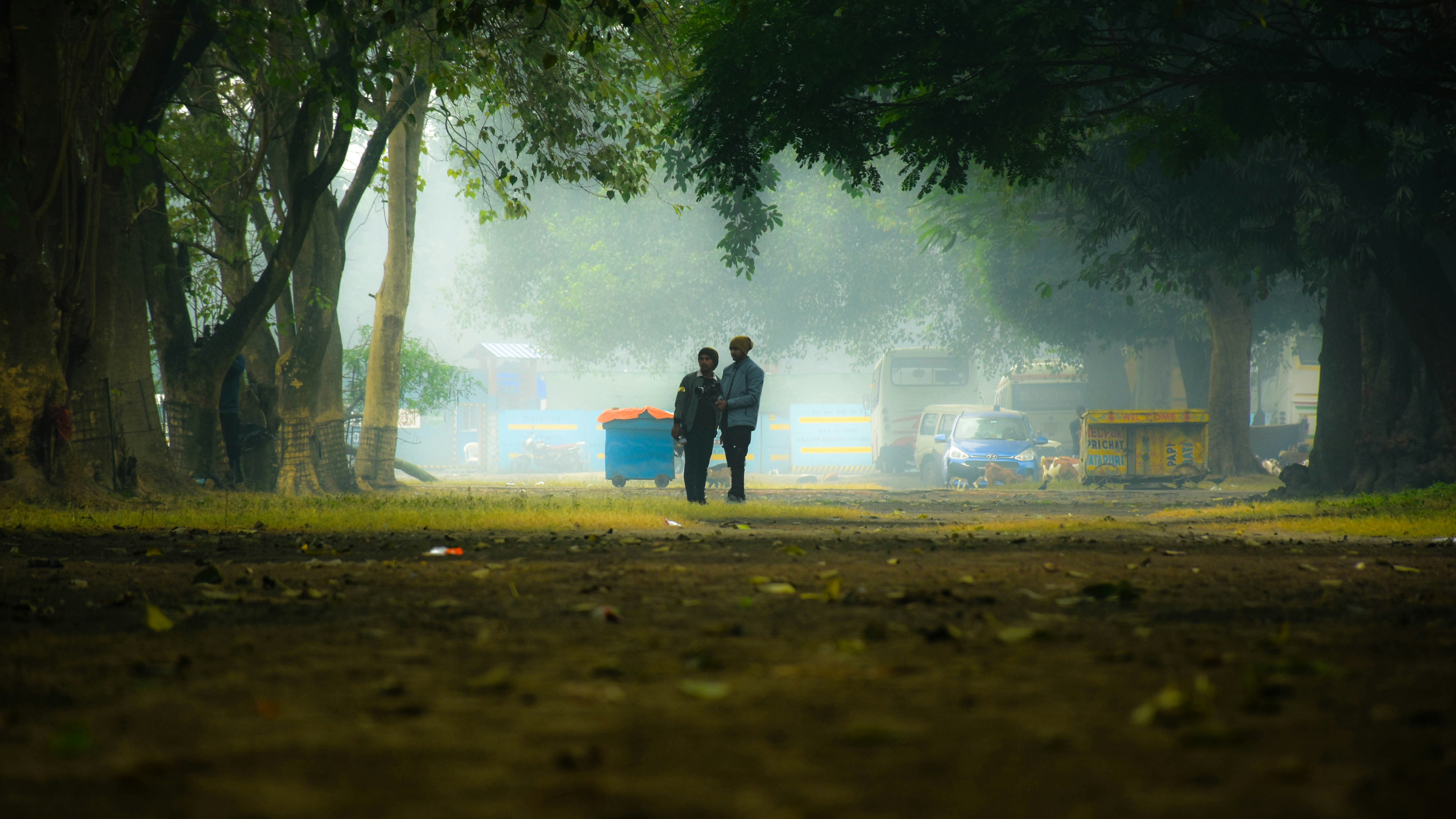 Mist-Laced Park Corridor: Two Figures in Soft Fog