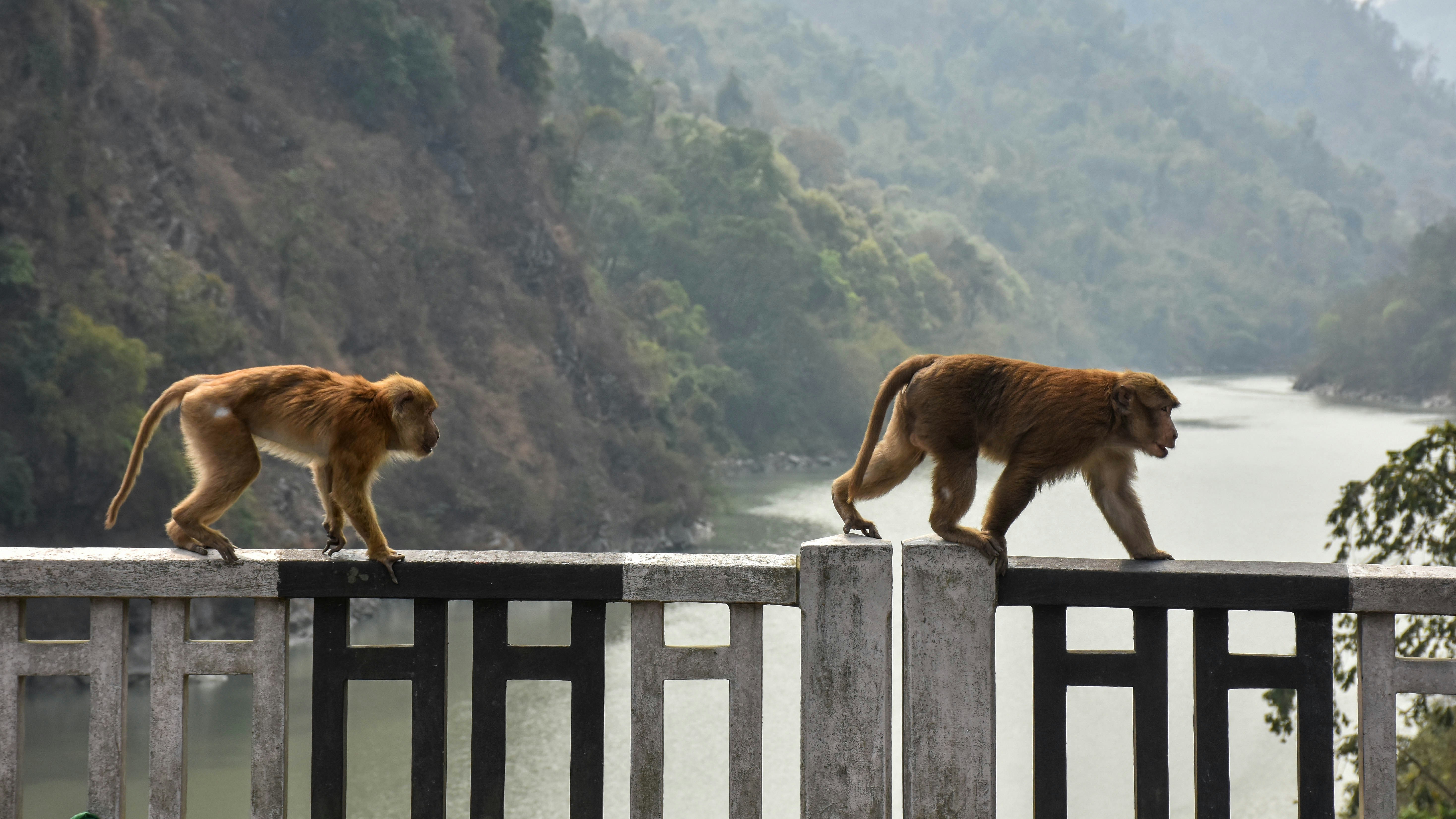 Photo by Anurag Sarkar with Nikon D7200