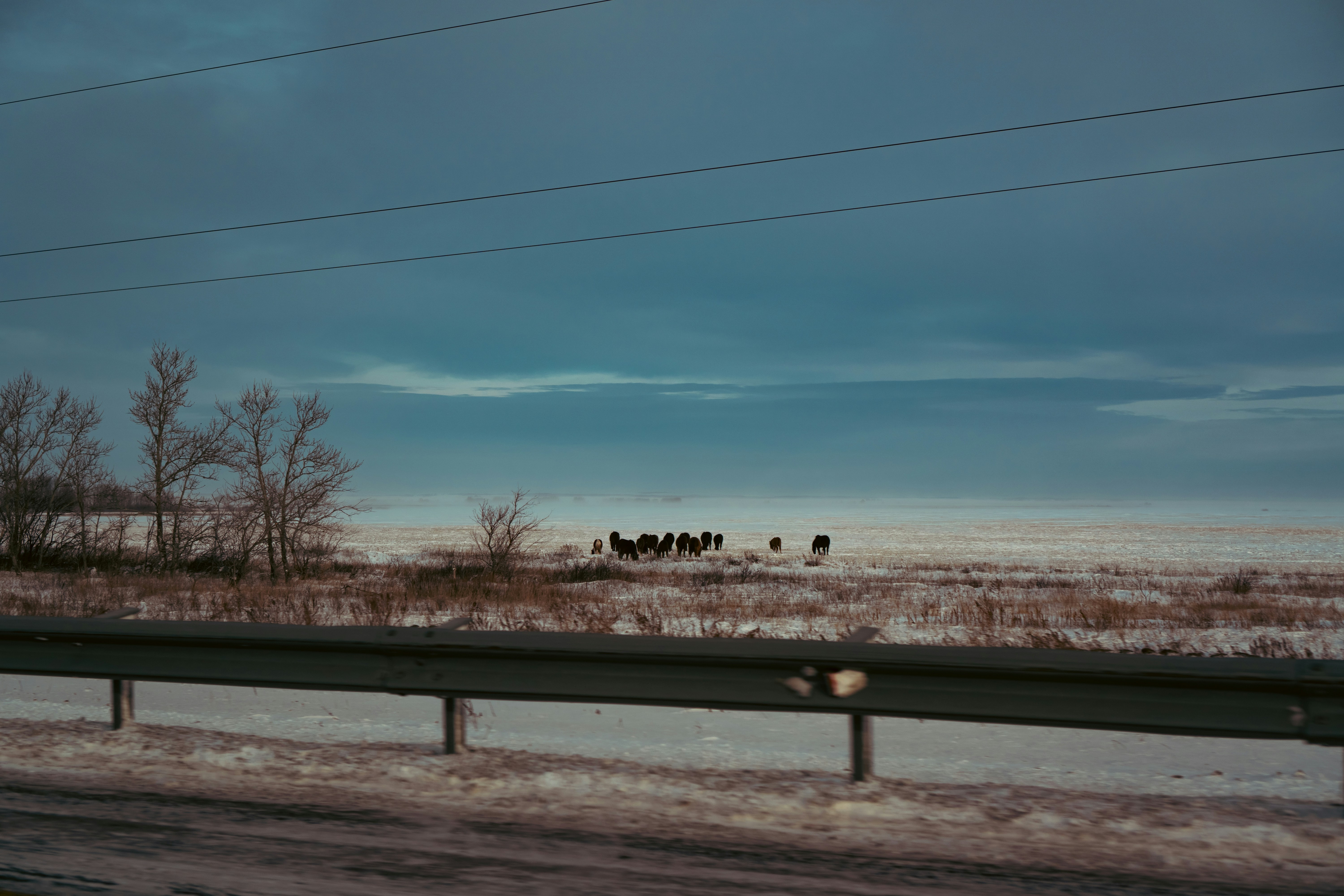 Photo by Erim Berk Benli with Sony Alpha 6400