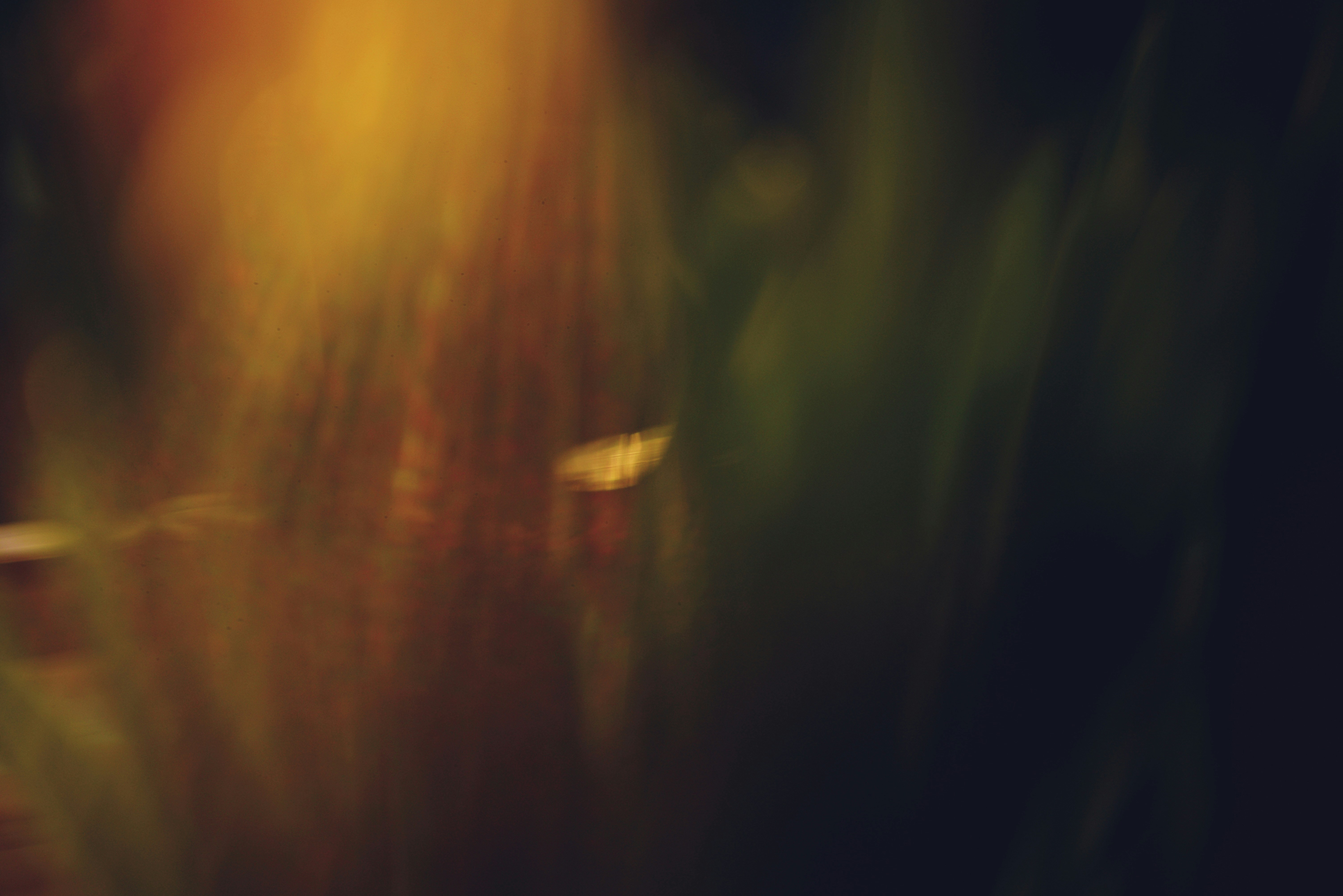 Ember Waves: Soft Focus in a Night Meadow