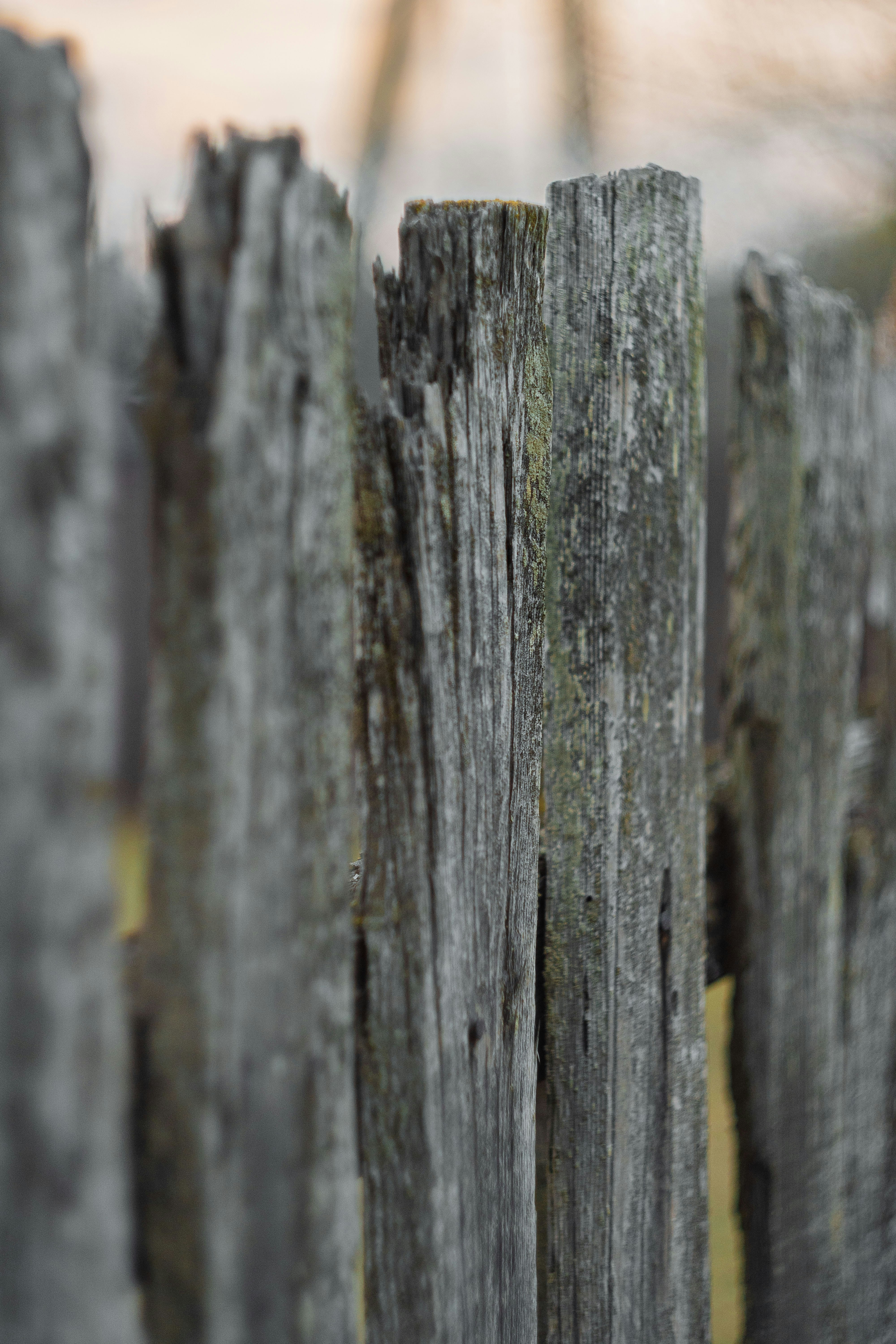 Old weathered wooden fence posts. photo – Free Wood Image on Unsplash