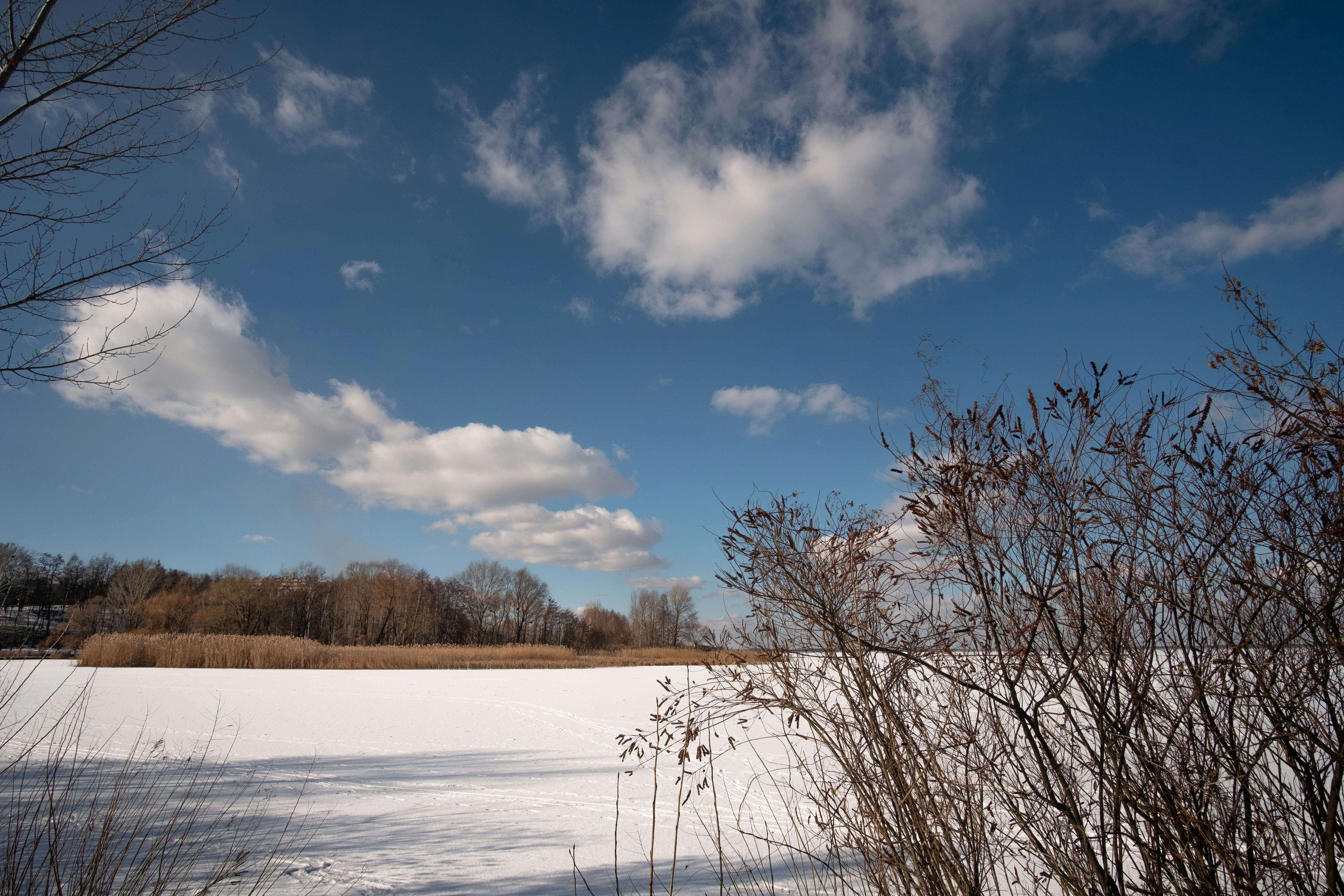 Seven Colors (@sevencolors) | Unsplashフォトコミュニティ