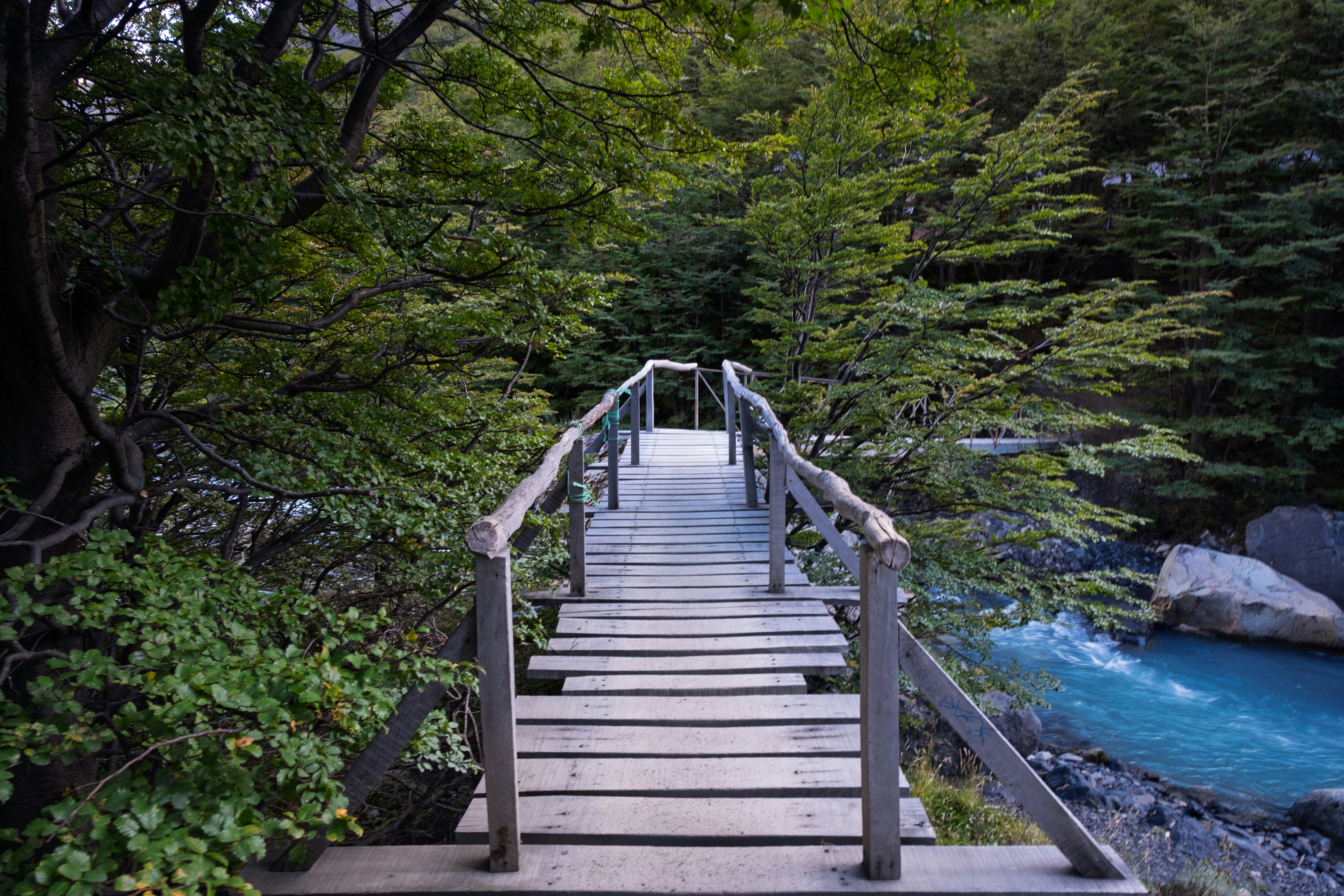 Wooden footbridge surrounded by lush greenery crosses a vibrant turquoise stream.