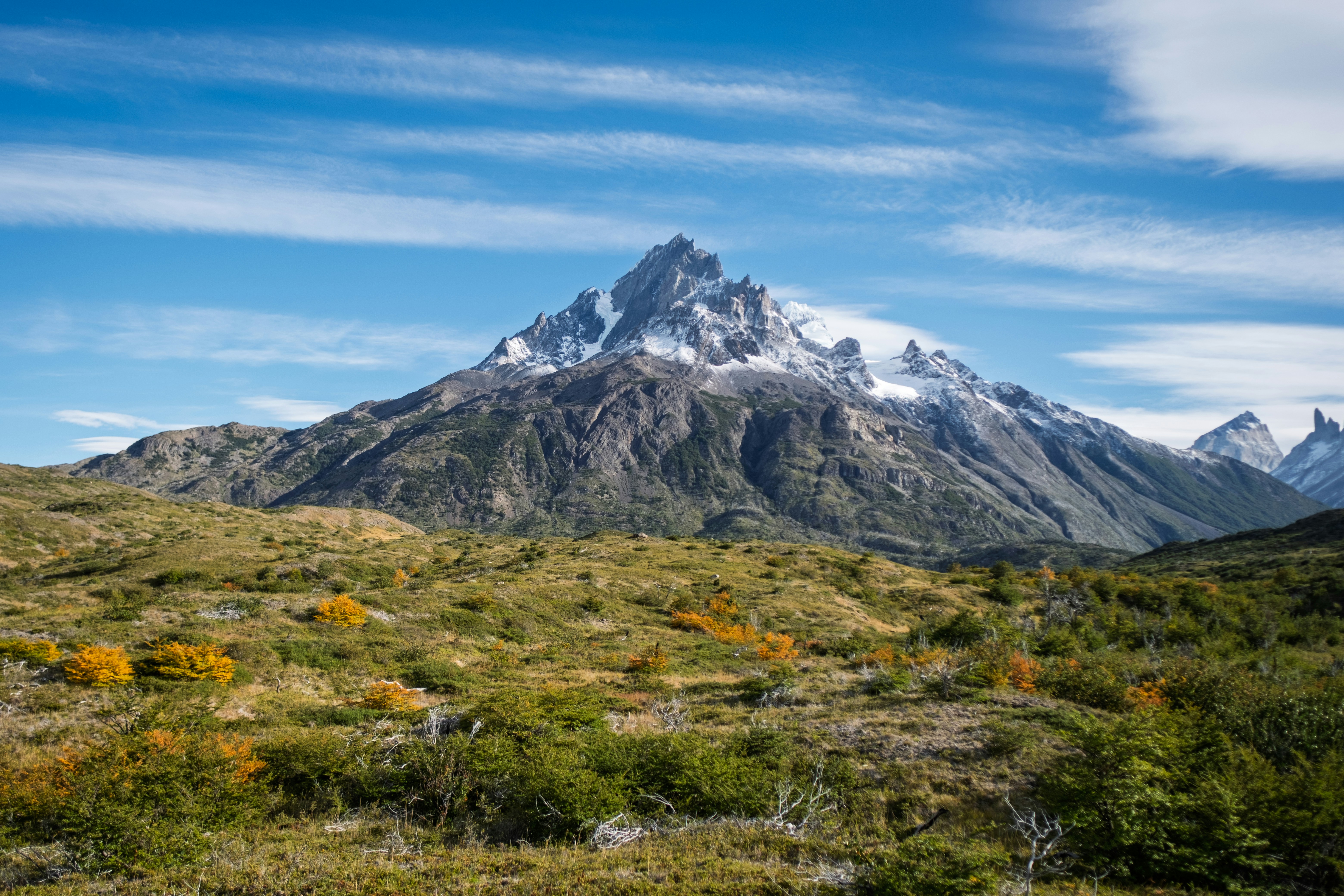 Snow-capped mountain under a clear blue sky with a foreground of lush green foliage.
