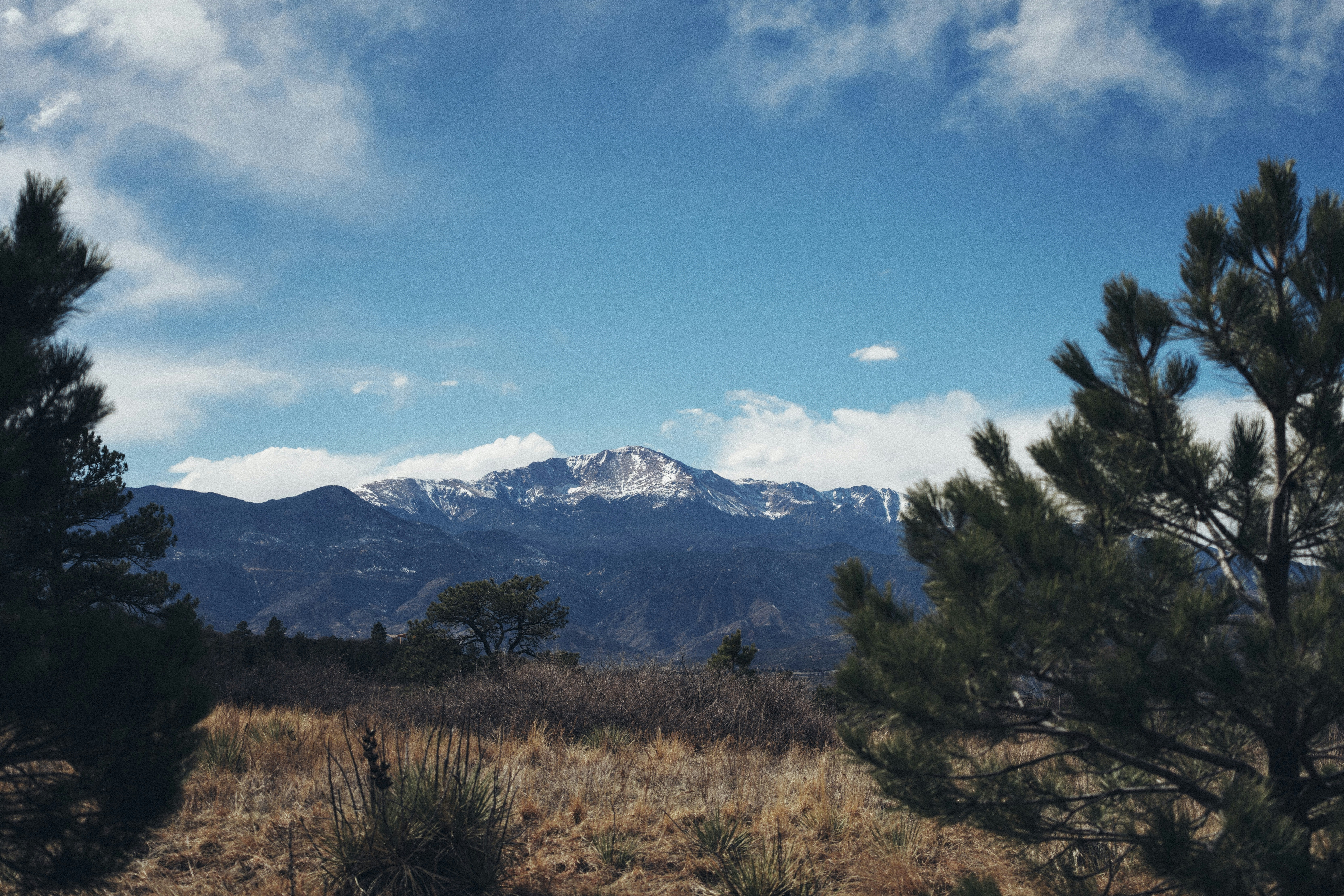 Photo by AV Media with Sony Alpha 7 IV