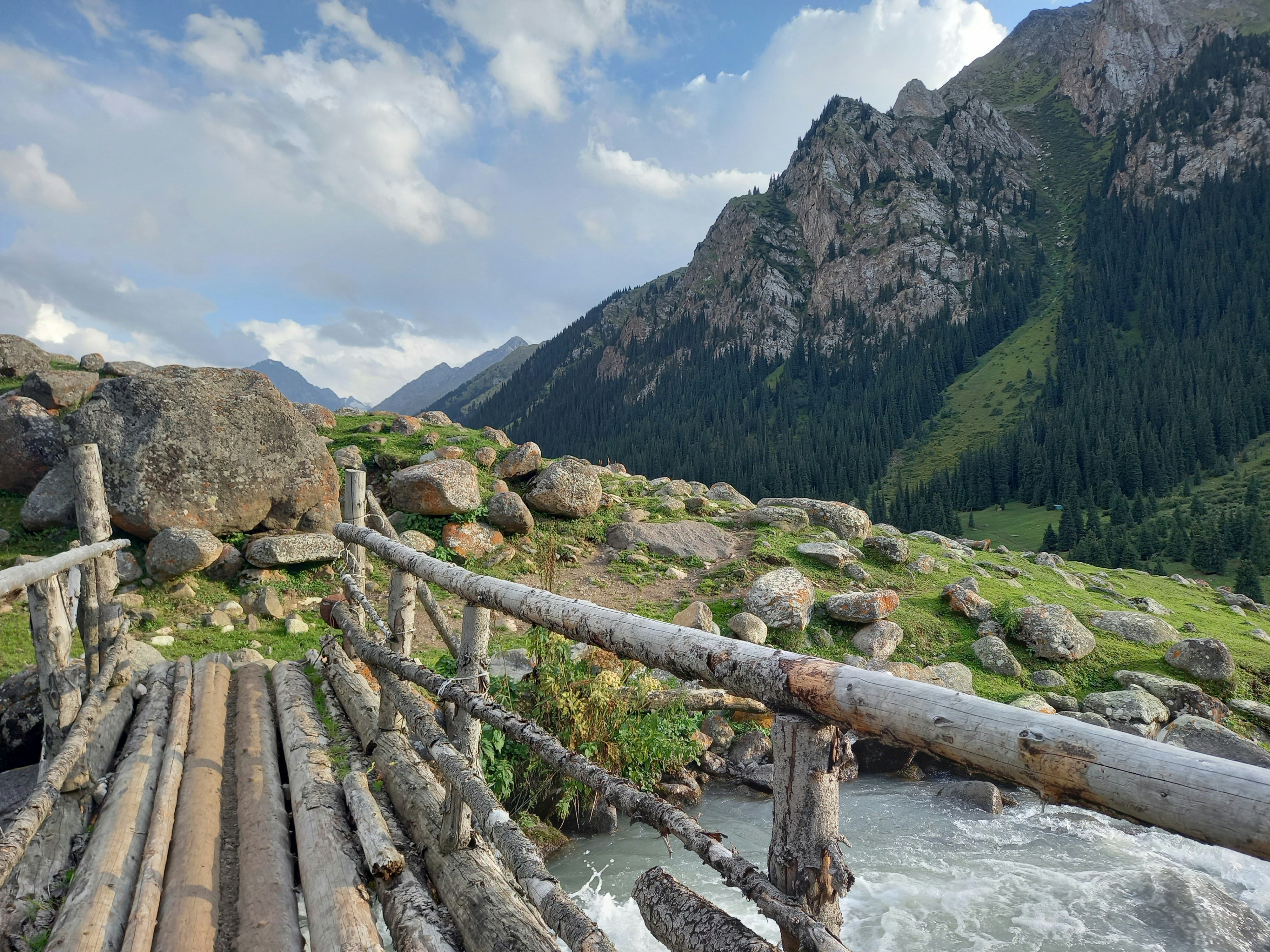 Timber Span Over a Churning Alpine Stream Toward Rugged Peaks