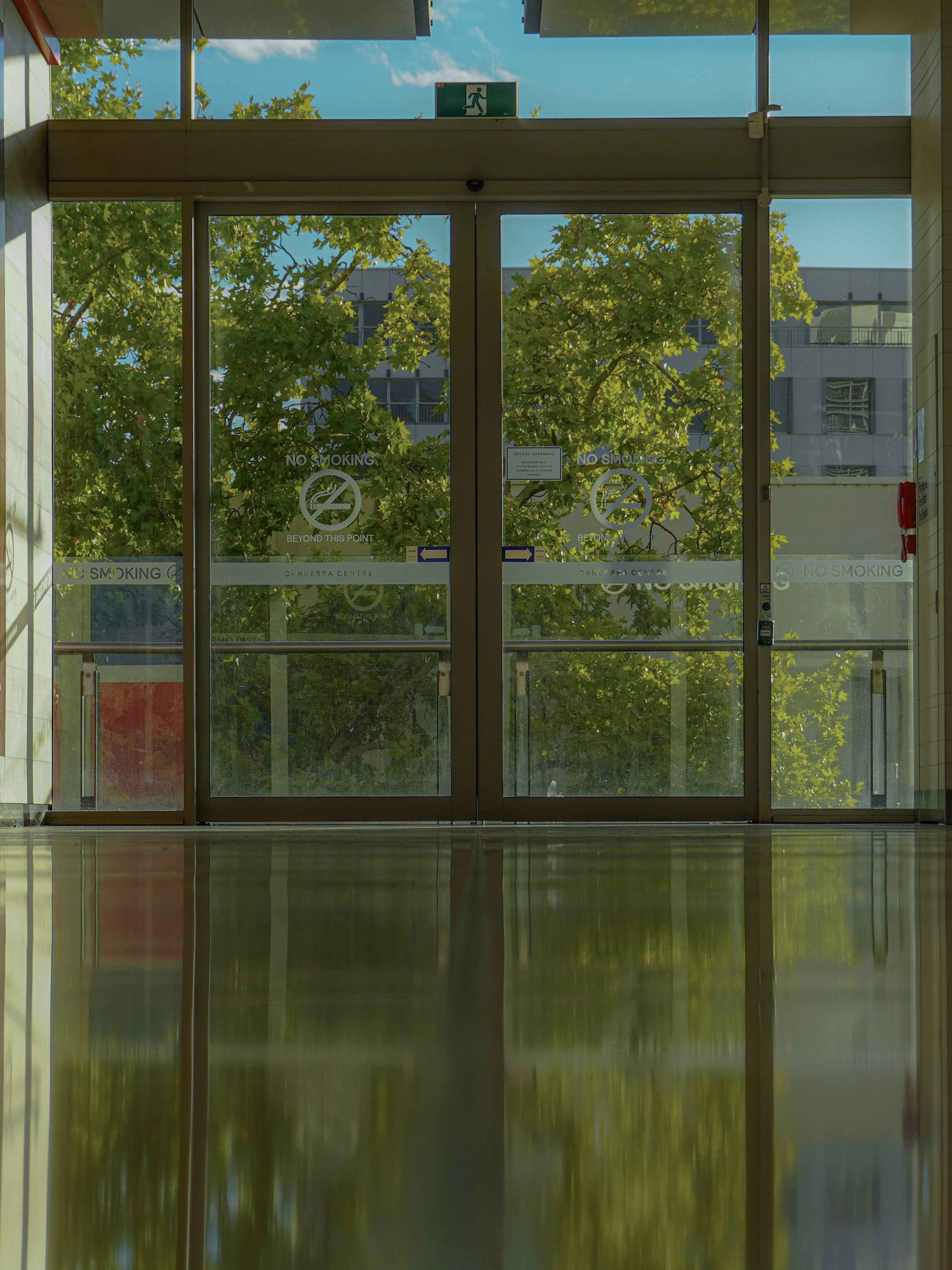 Sunlight filtering through a glass door, reflecting the greenery and trees outside in a calm and peaceful setting.