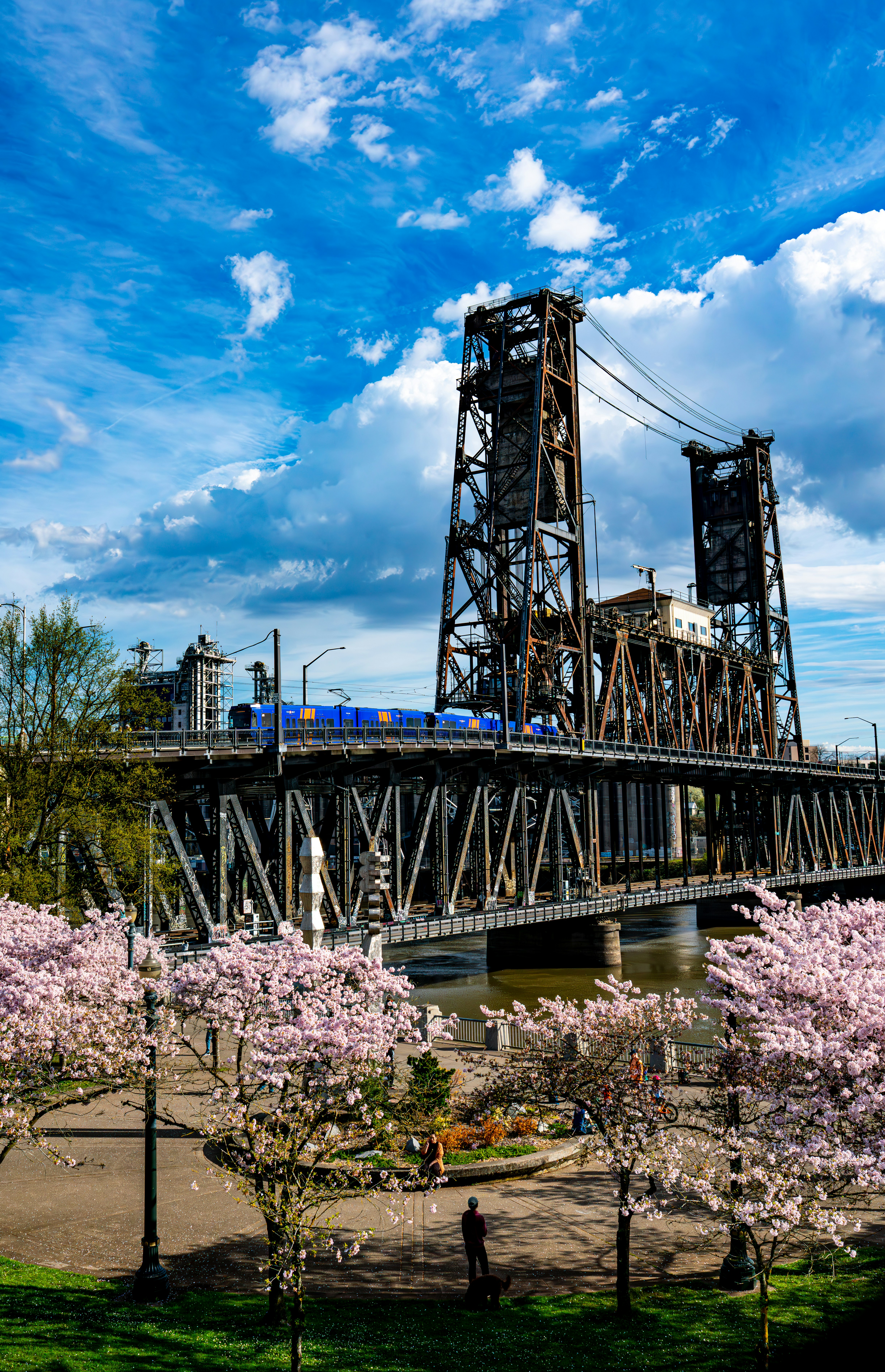 Rusted Giants and Pink Petals: A Lift Bridge Under a Spring Sky