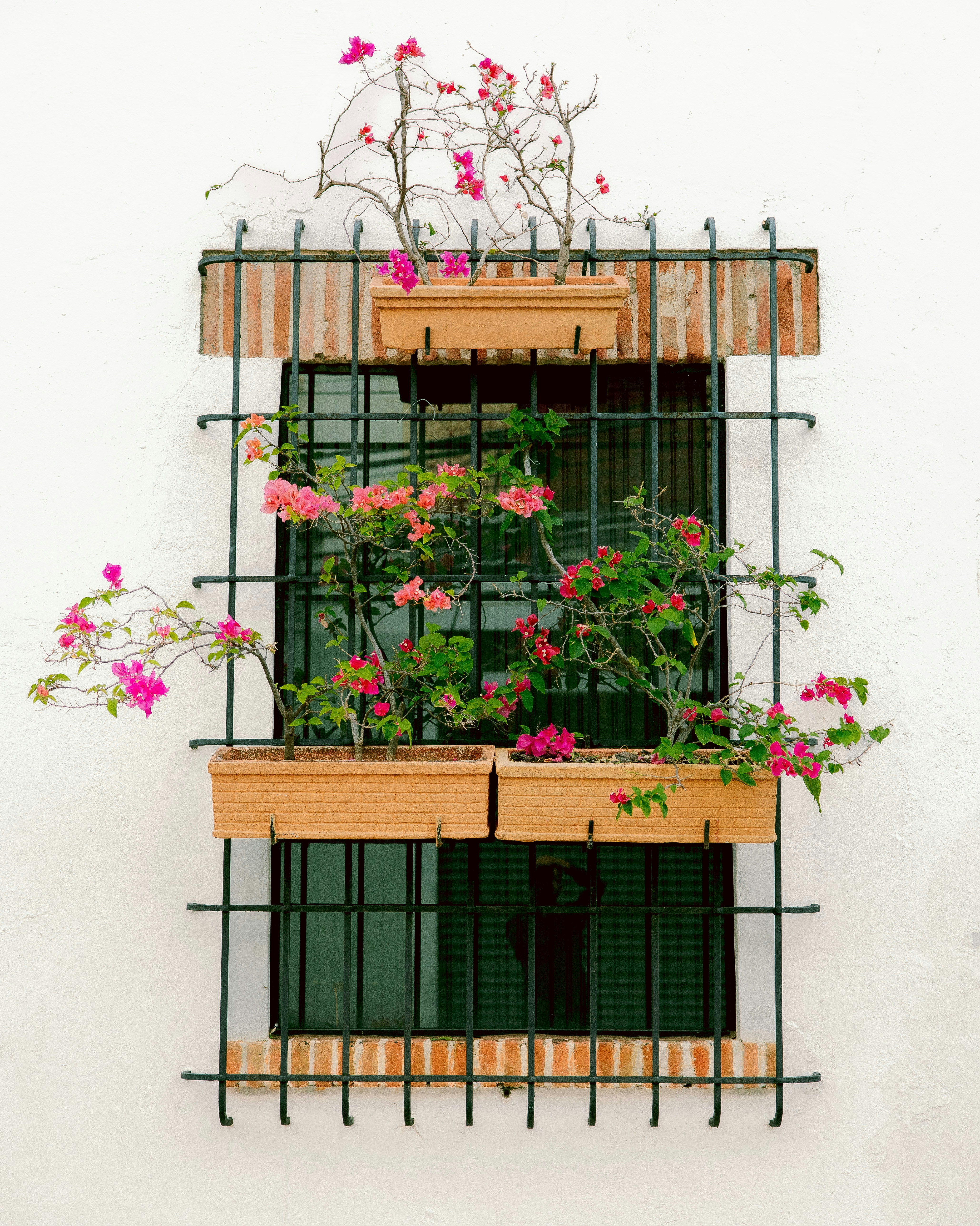 Urban Floral Oasis