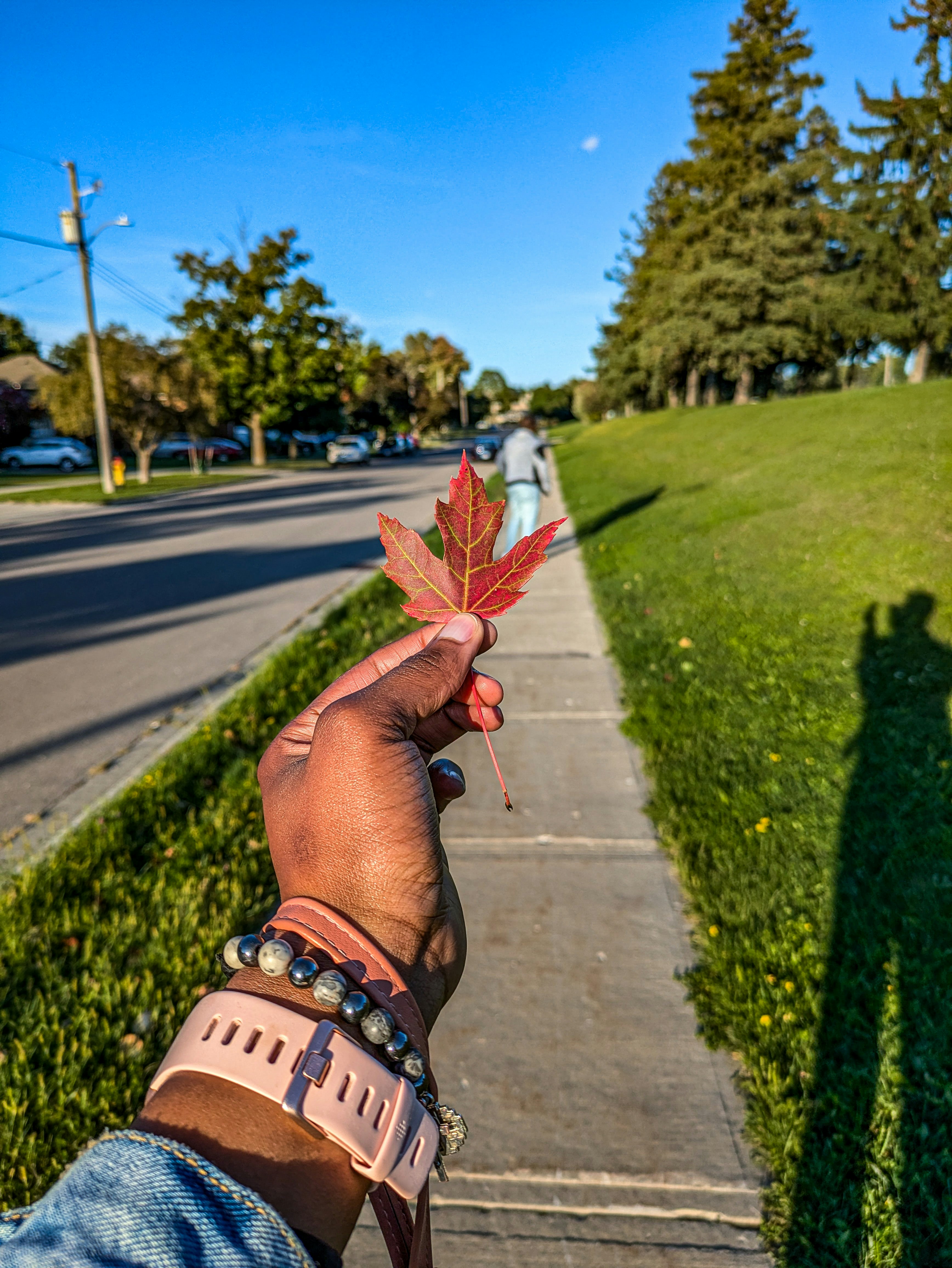 I'm Falling for you...