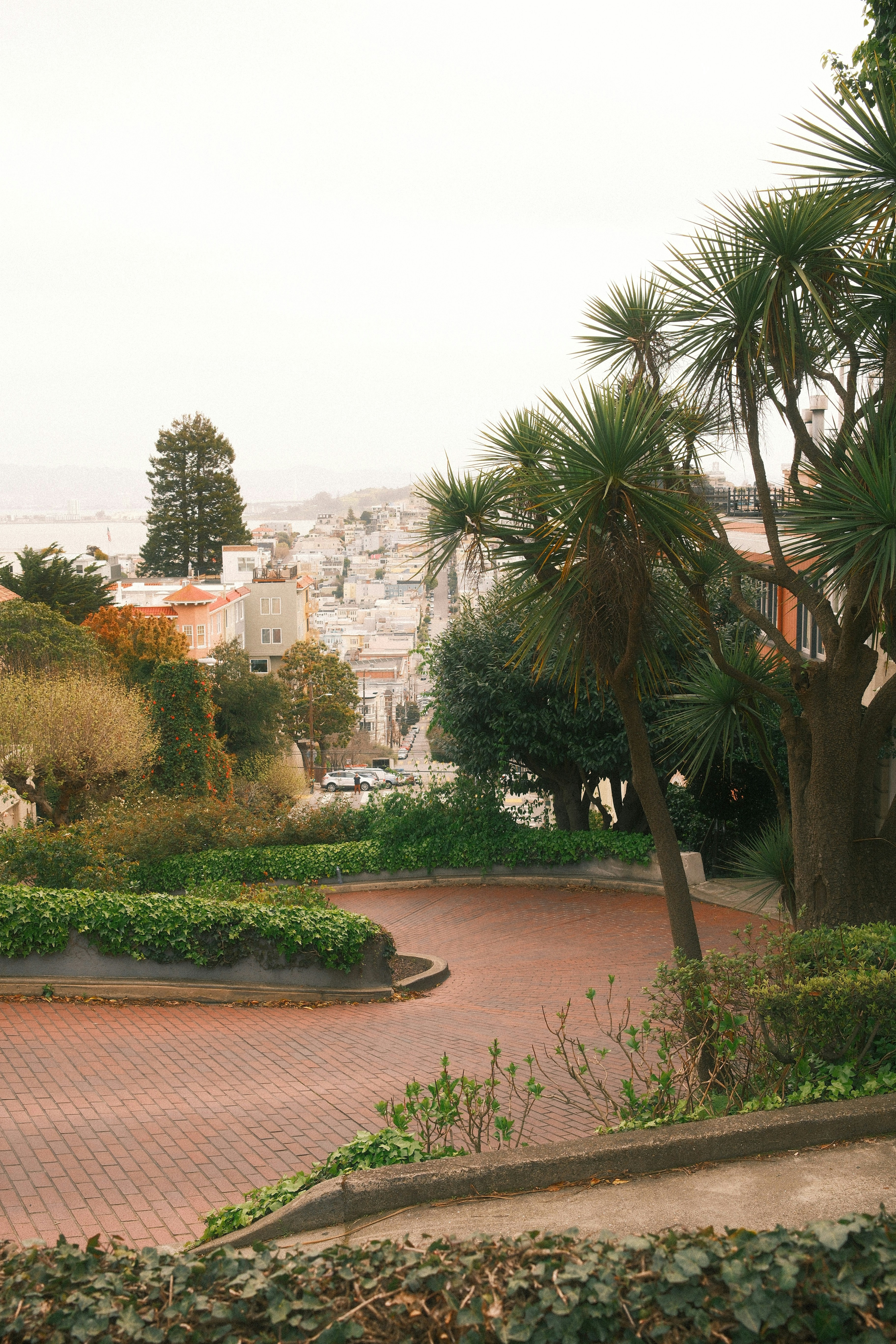 Terracotta Terrace with Palm Silhouettes Framing a Sunlit Hillside City