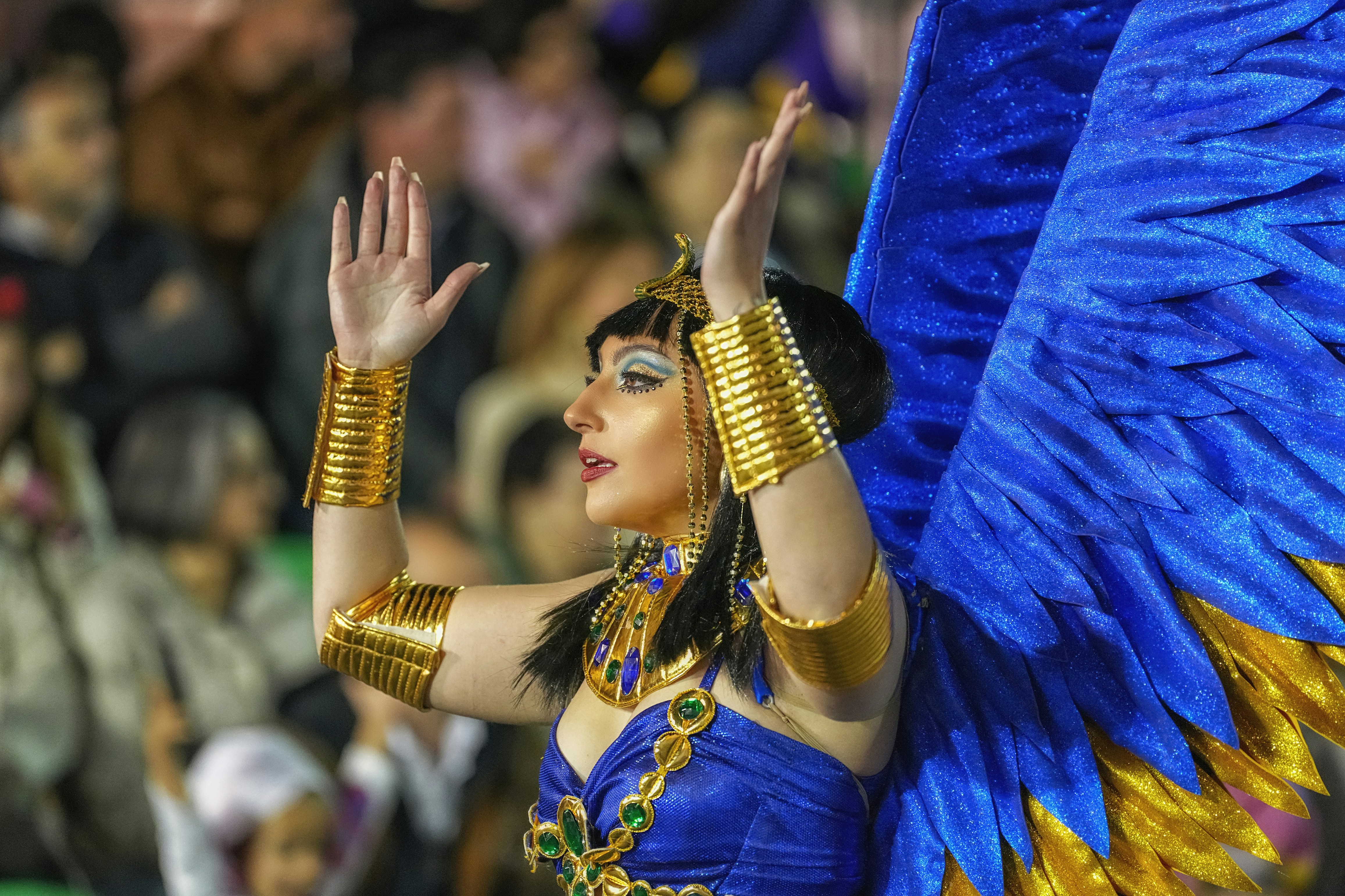 Vibrant feathered performer in royal blue at center stage
