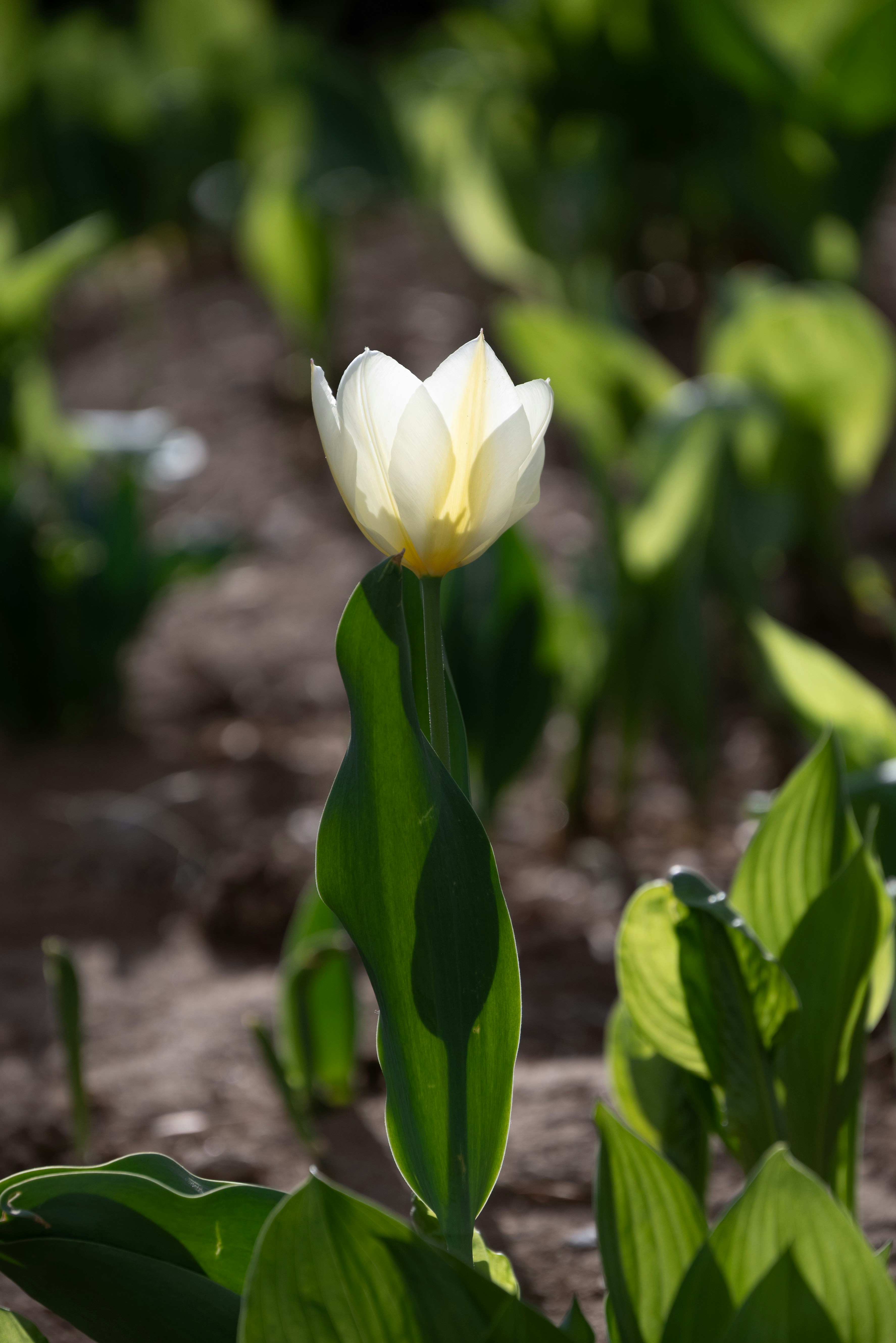 Photo by ran liwen with Nikon Z5