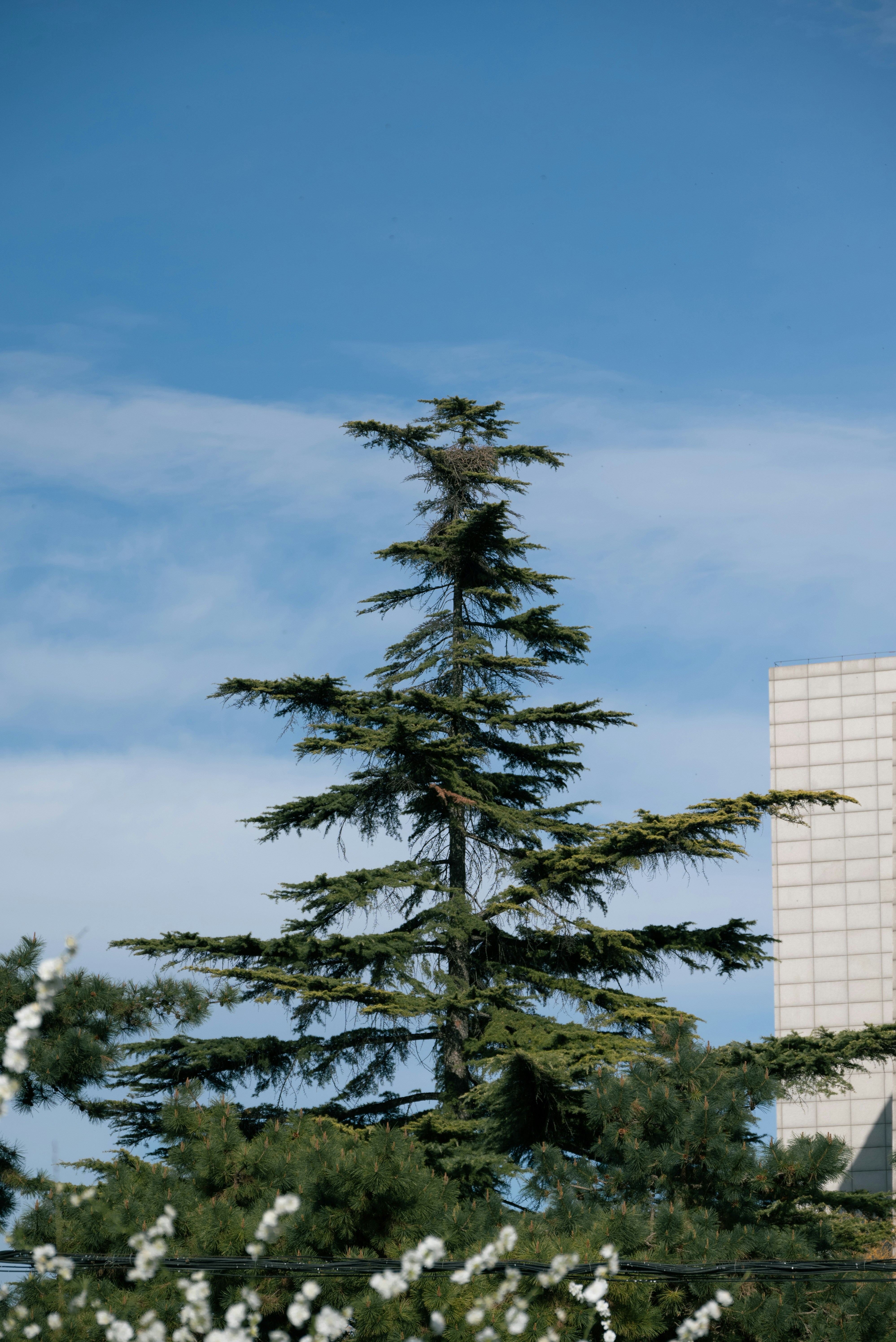 Photo by ran liwen with Nikon Z5