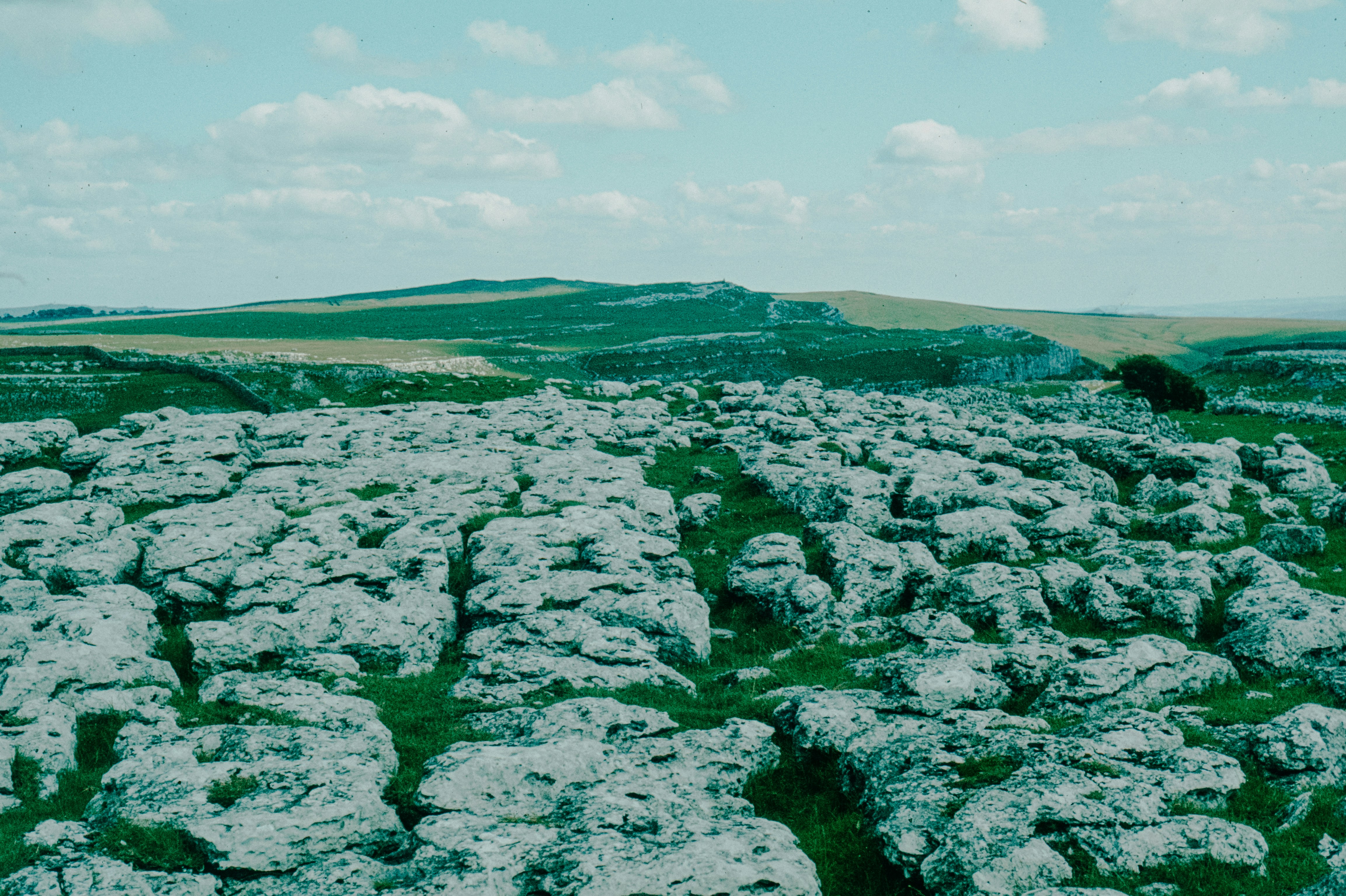 Un terrain rocheux s’étend à l’horizon. photo – Image gratuite de Forêt ...