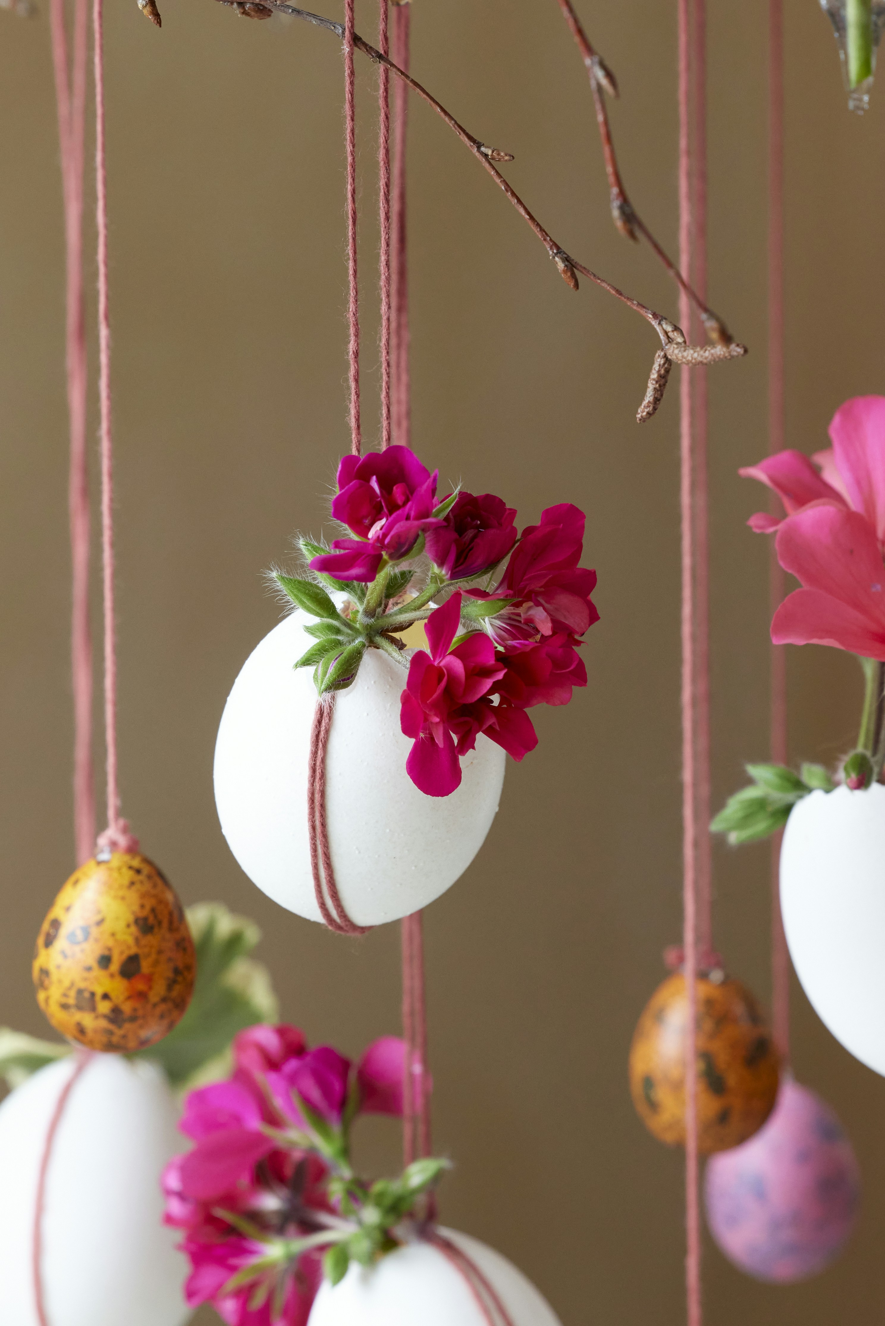 Easter eggshell planters hold vibrant flowers. photo – Free Flowers ...